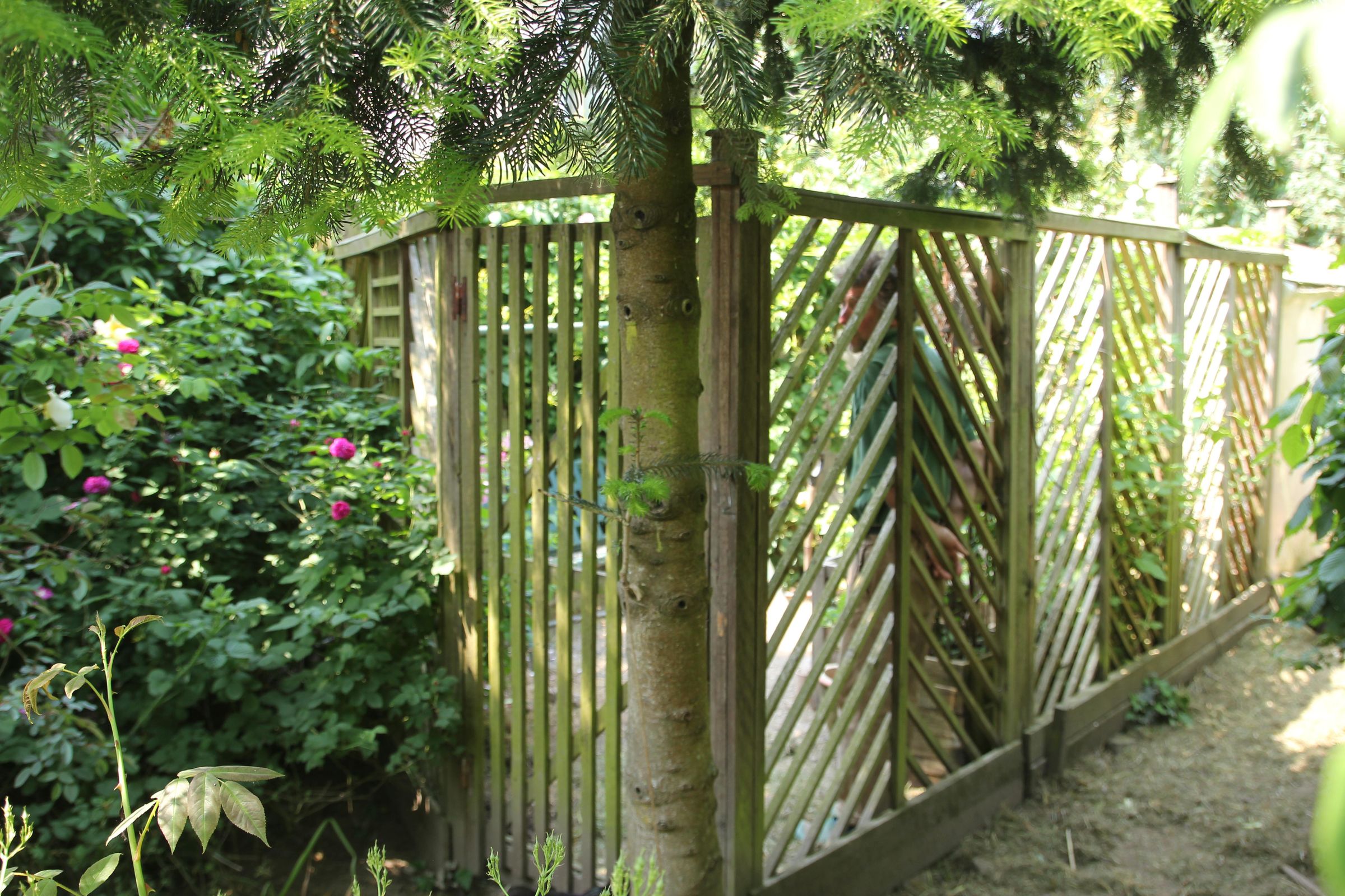 Greenhouse Extension - Making a Safe Living, Nesting & Brooding Area ...