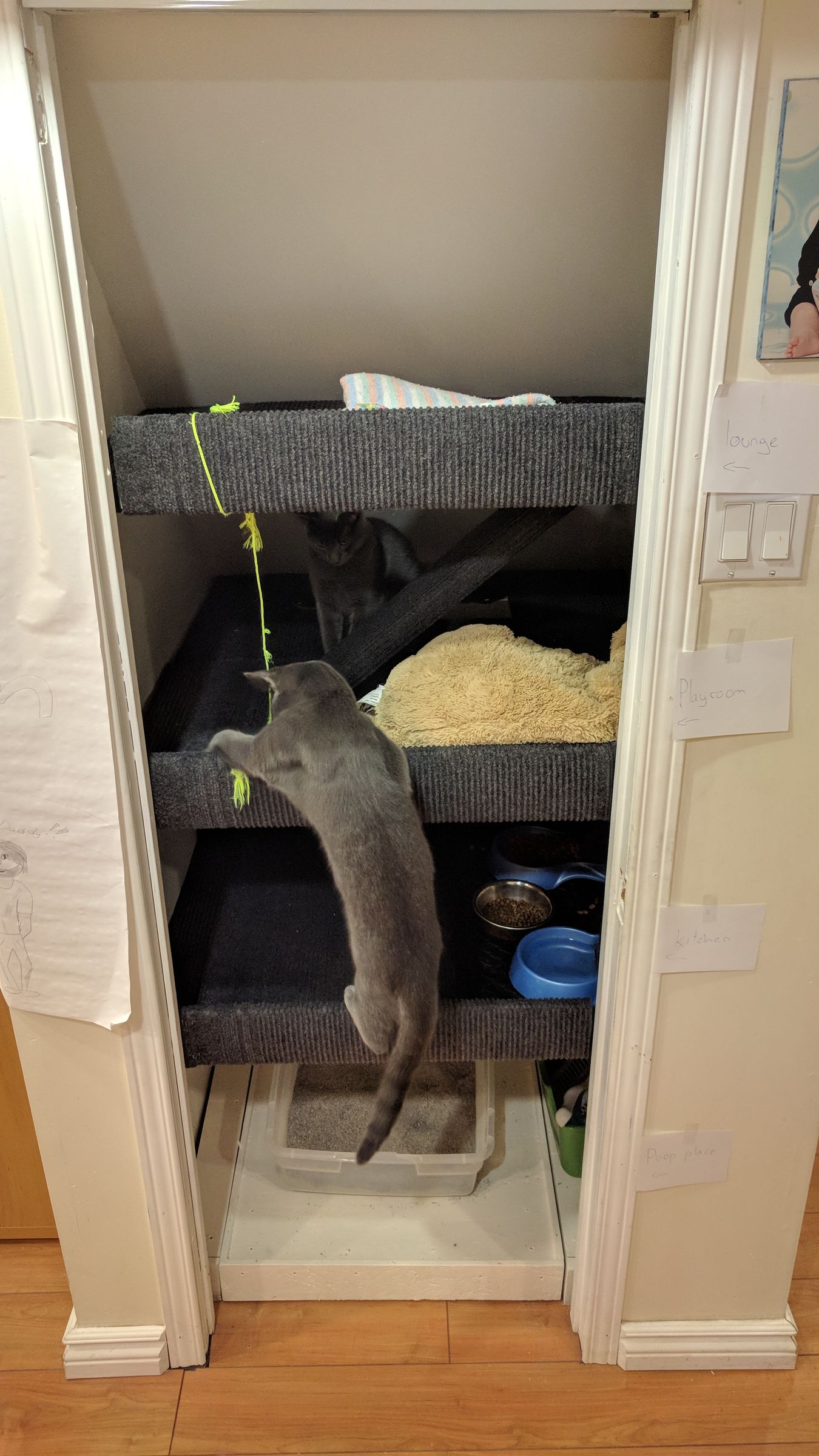 A Cat Chalet; Why Not? : 7 Steps (with Pictures) - Instructables