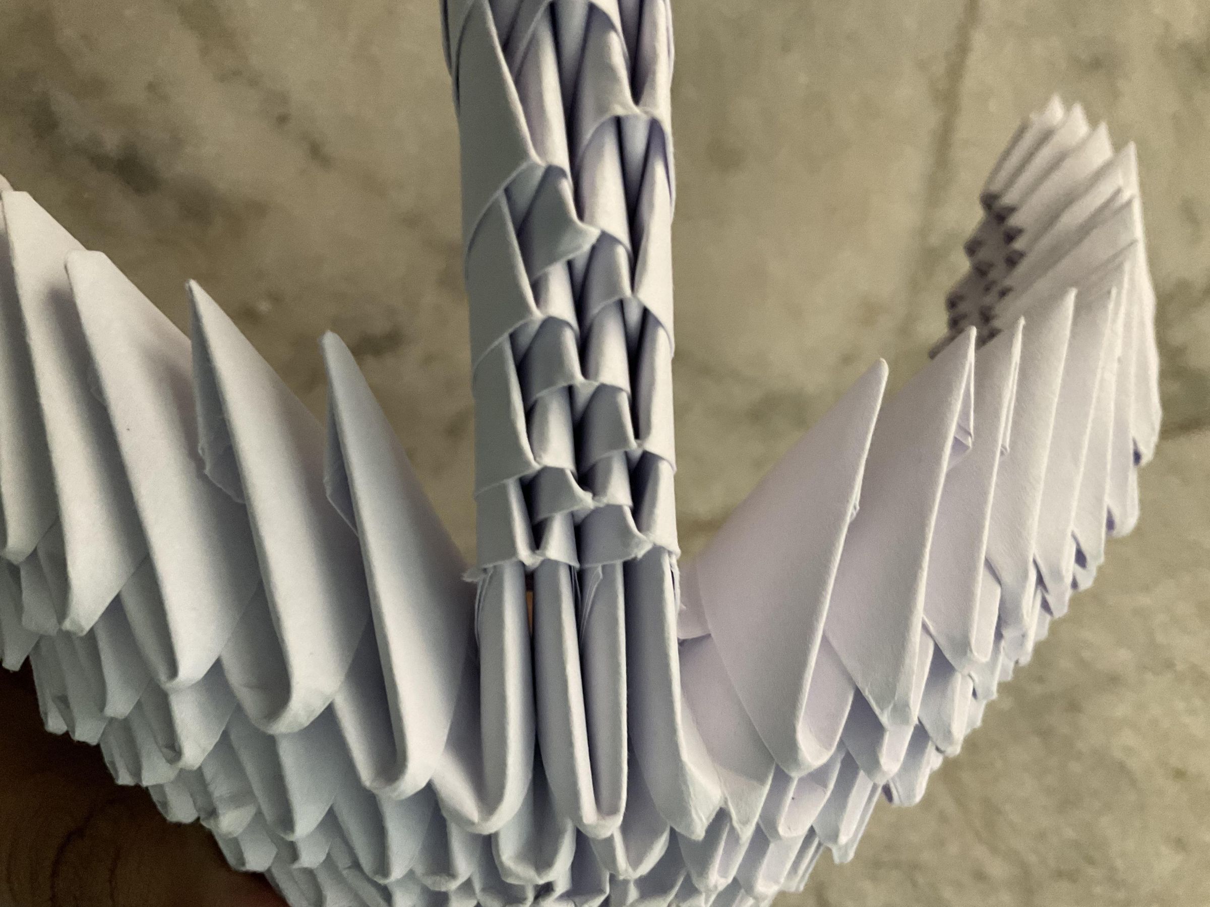 My First Instructable! 3D Origami Swan : 5 Steps (with Pictures ...