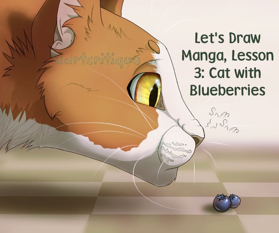 Draw a Cat With Blueberries (let's Draw Manga Lesson 3) : 12 Steps ...
