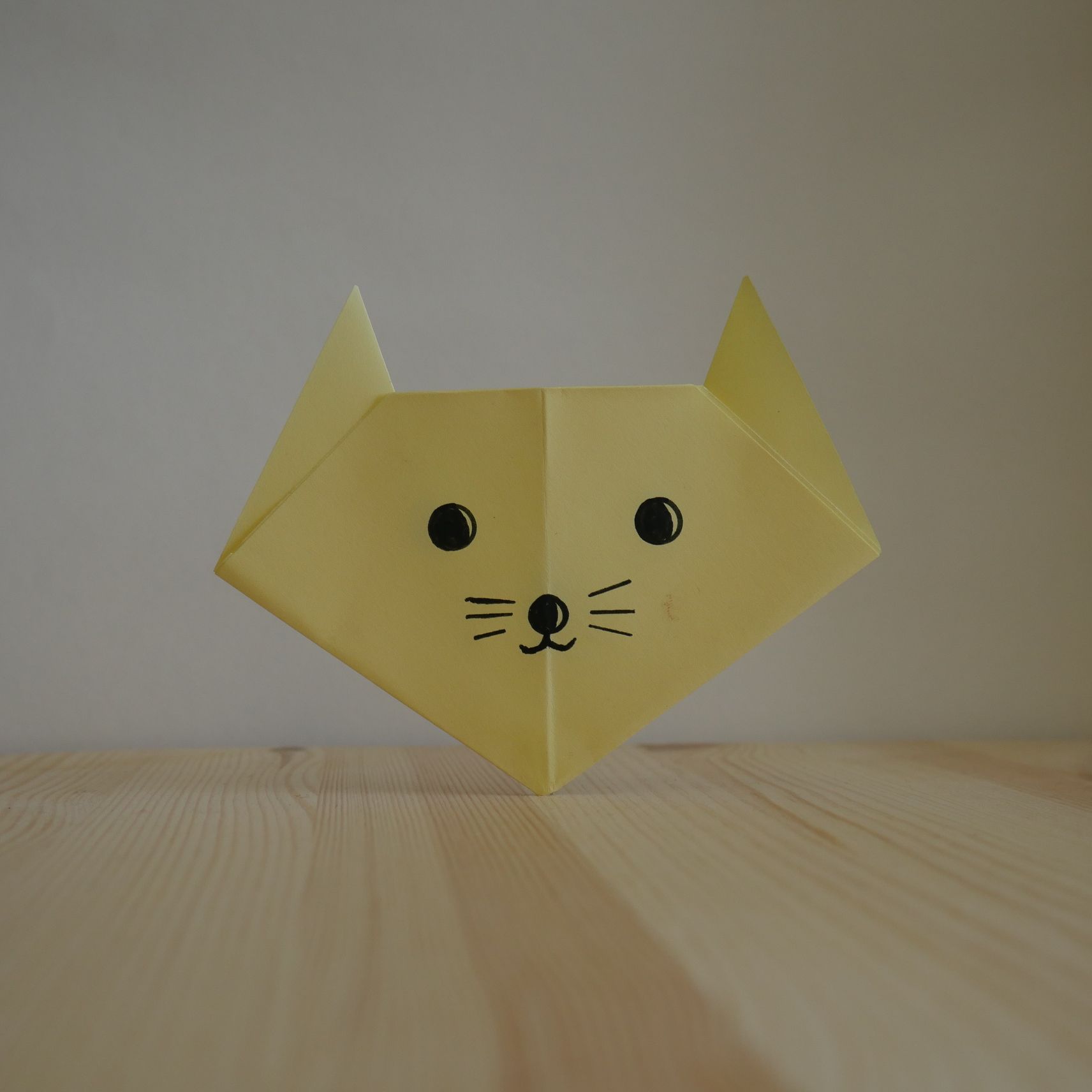 Origami Cat : 5 Steps - Instructables