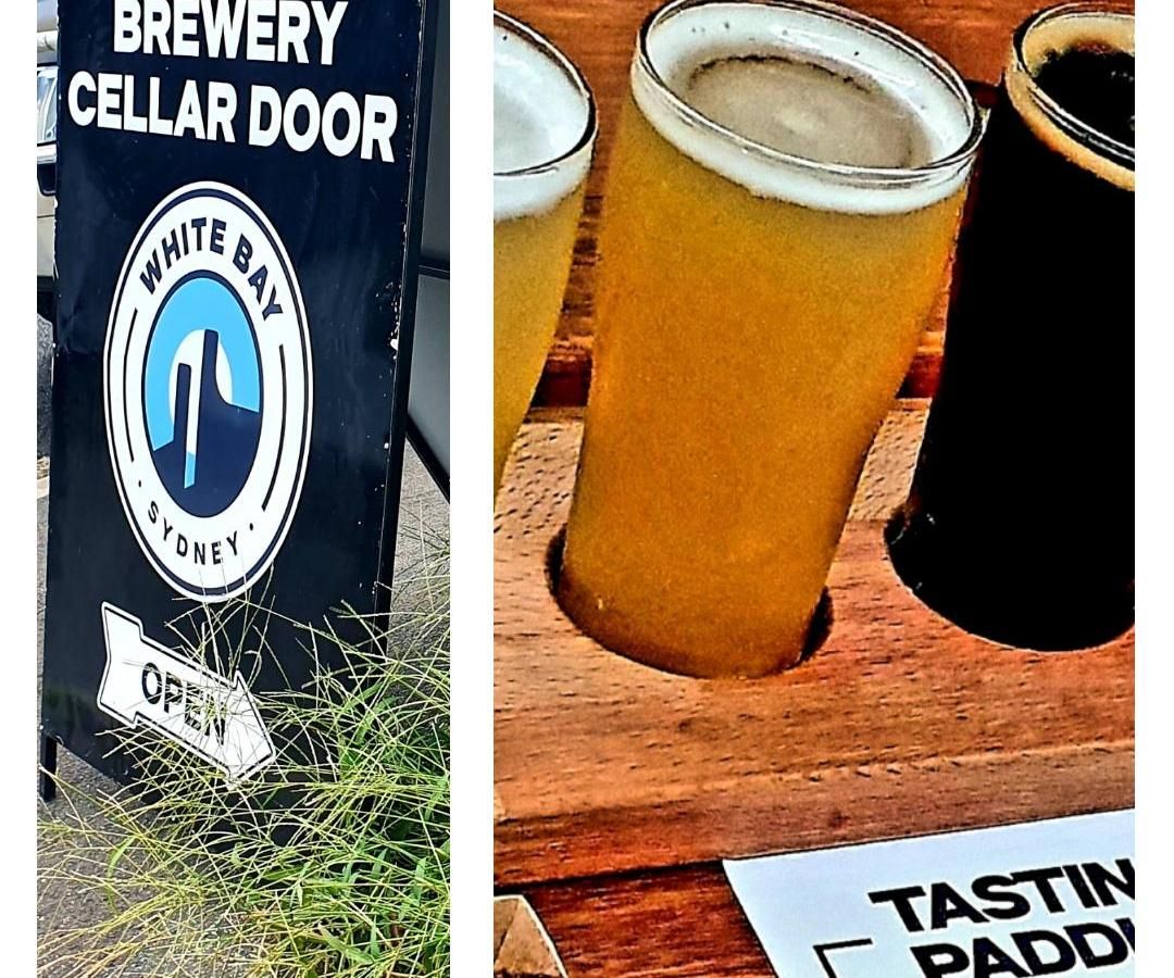 Paper Beer Paddle Cups : 5 Steps (with Pictures) - Instructables