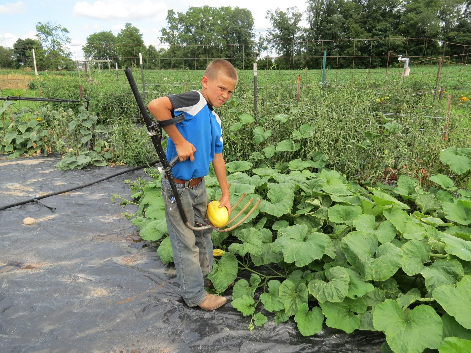 Pumpkin Lifter Assistive Technology : 4 Steps (with Pictures ...