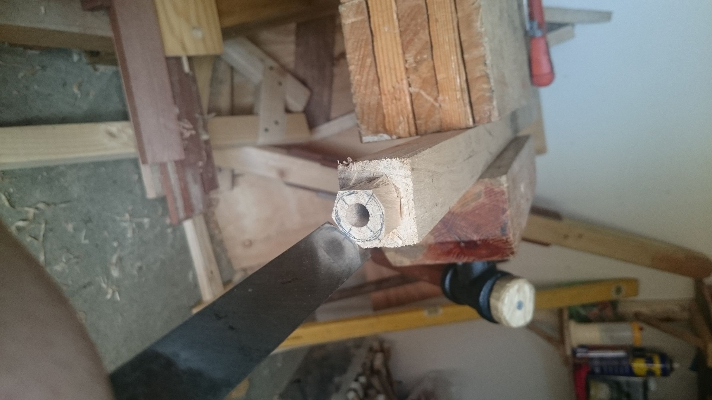 Bark Scraper From a Cheap Chisel : 6 Steps (with Pictures) - Instructables