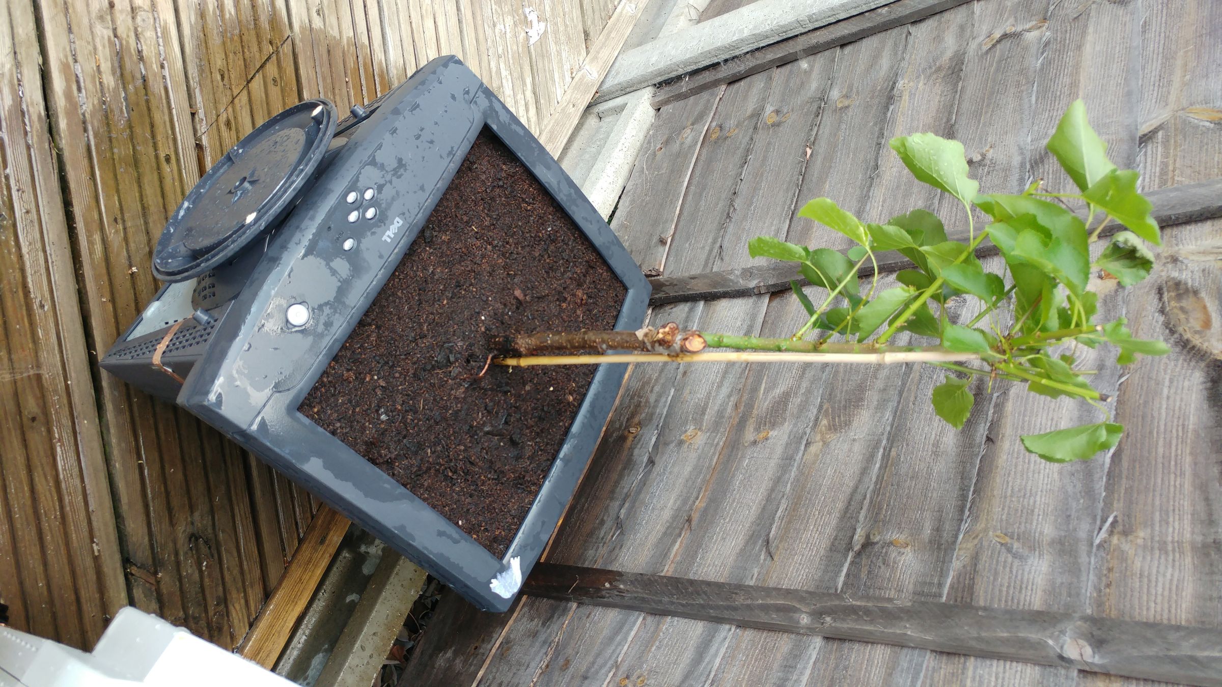 Computer Monitor Garden Planter : 5 Steps (with Pictures) - Instructables