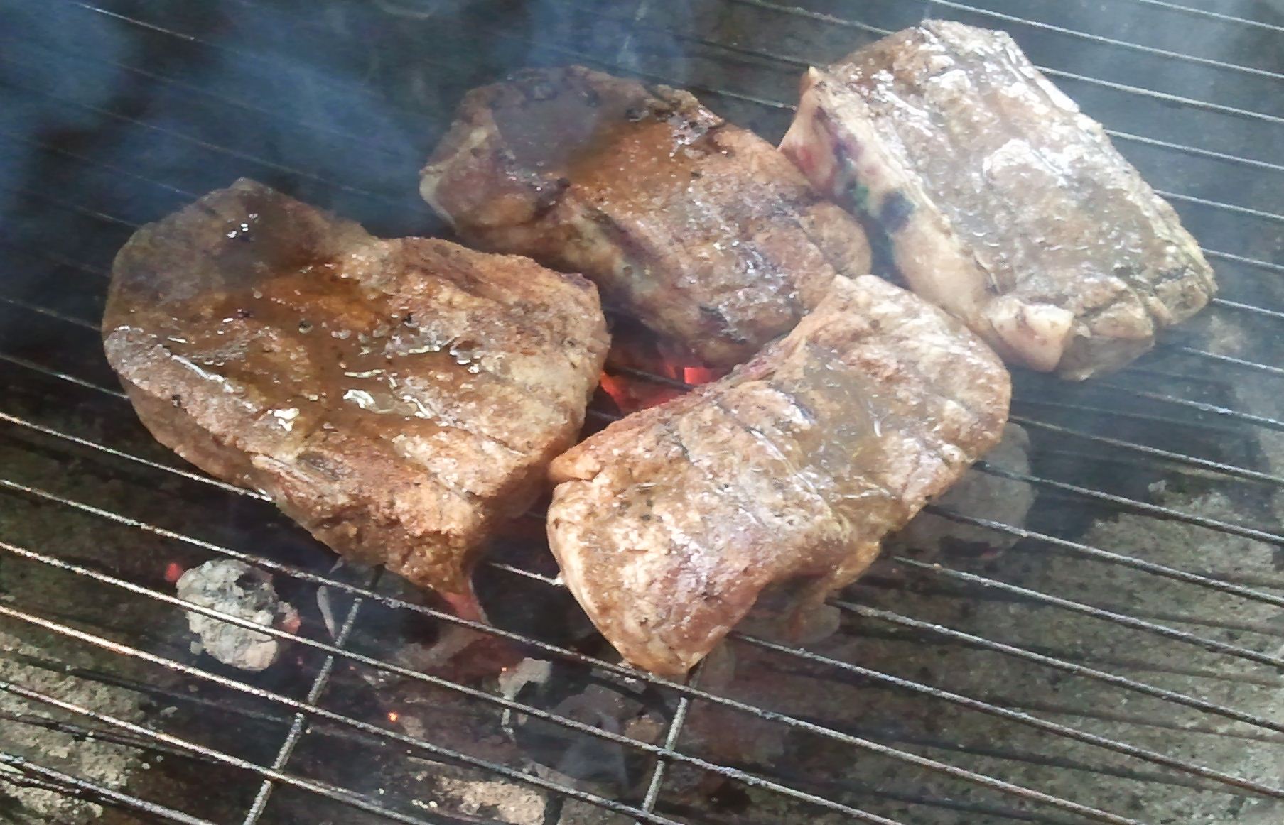 How to "Braai" Meat the South African Way : 8 Steps (with Pictures ...