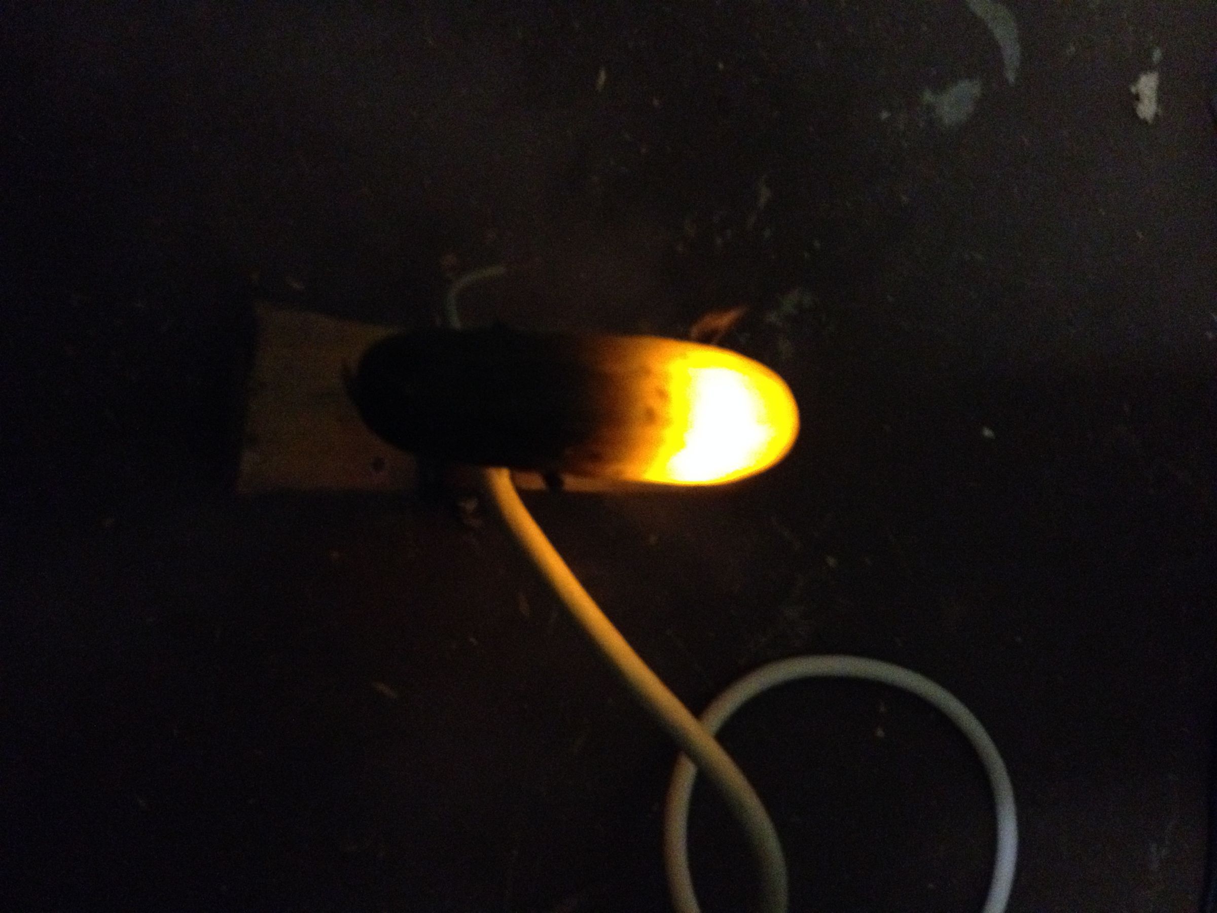 Glowing Pickle : 5 Steps - Instructables