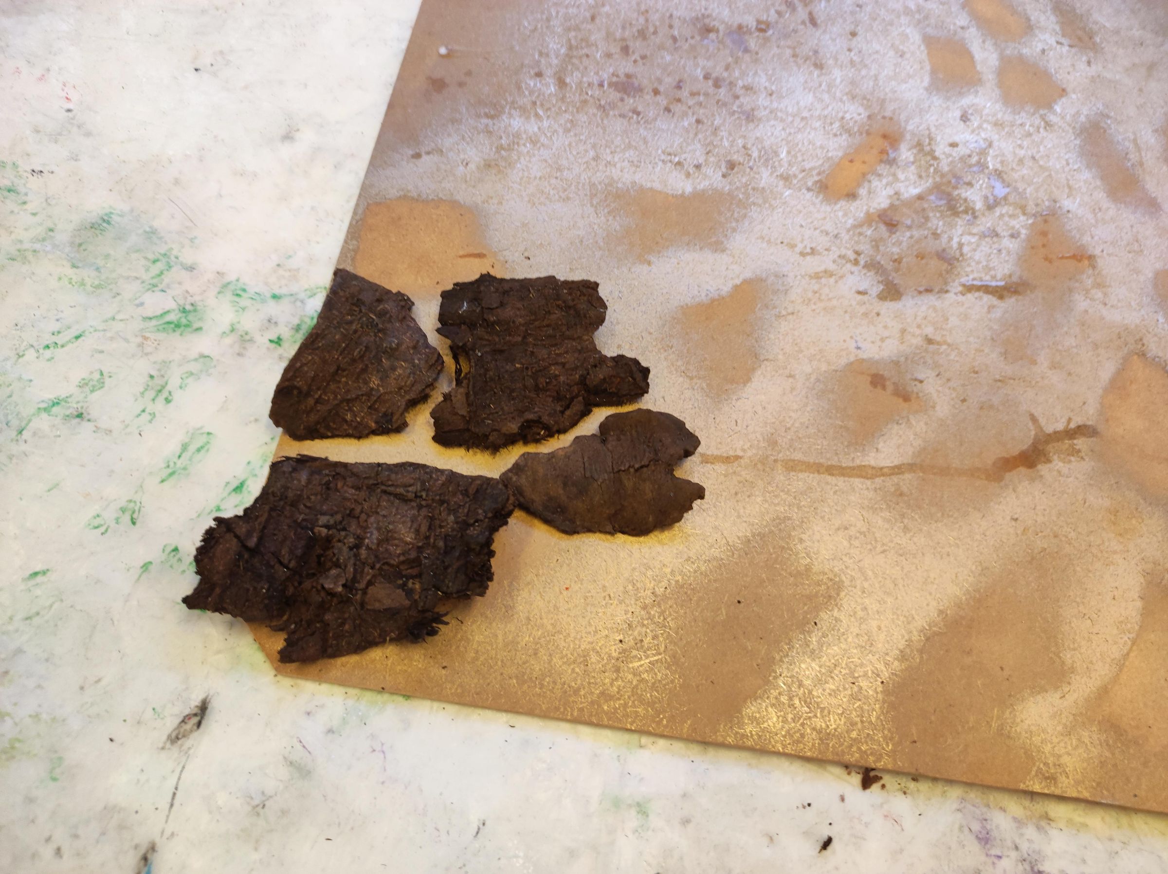 Tree Bark Art : 4 Steps (with Pictures) - Instructables
