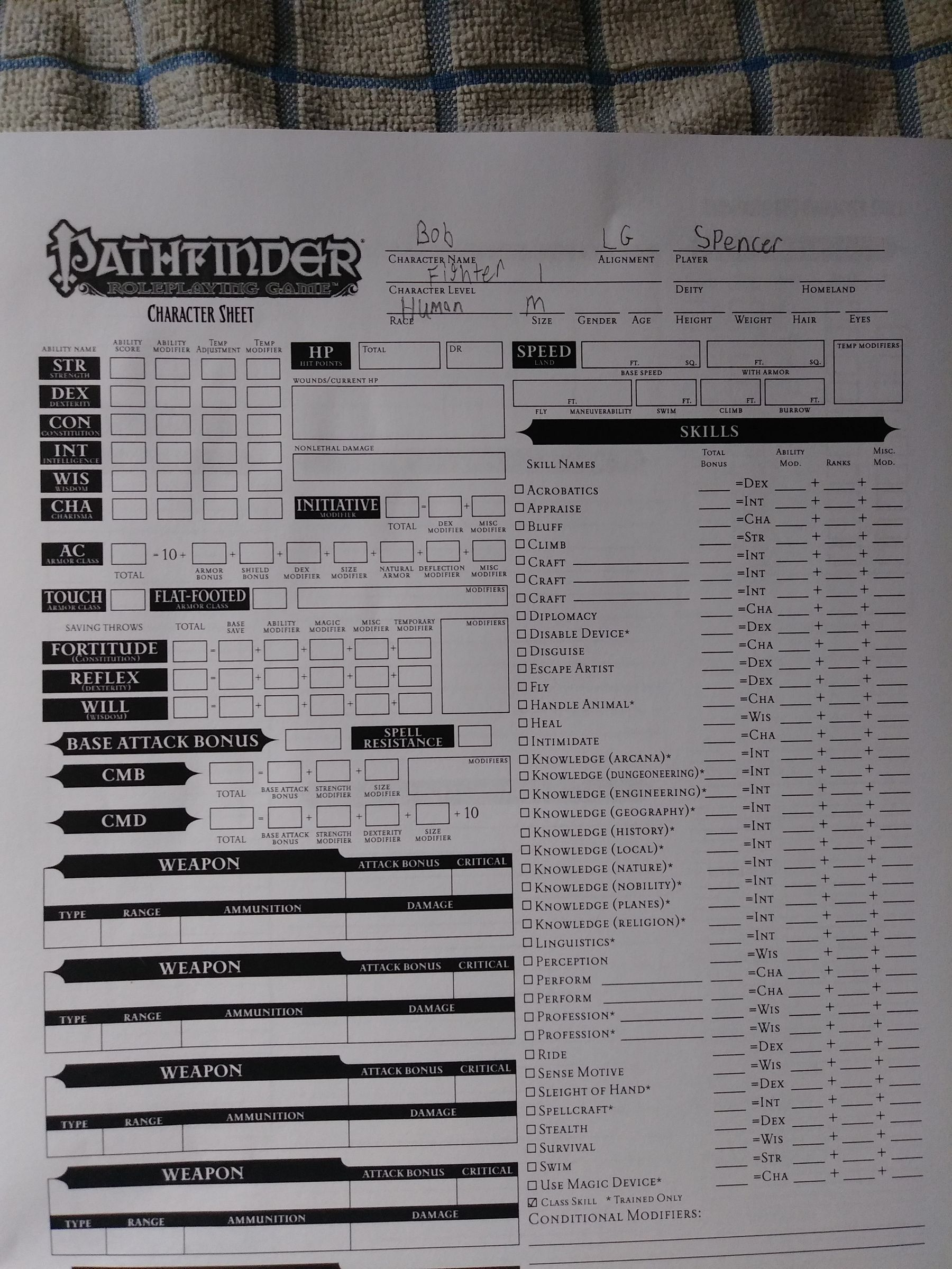 Pathfinder Character Sheet Printable