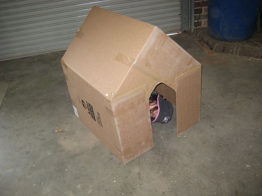 Cardboard Box Play House : 5 Steps - Instructables