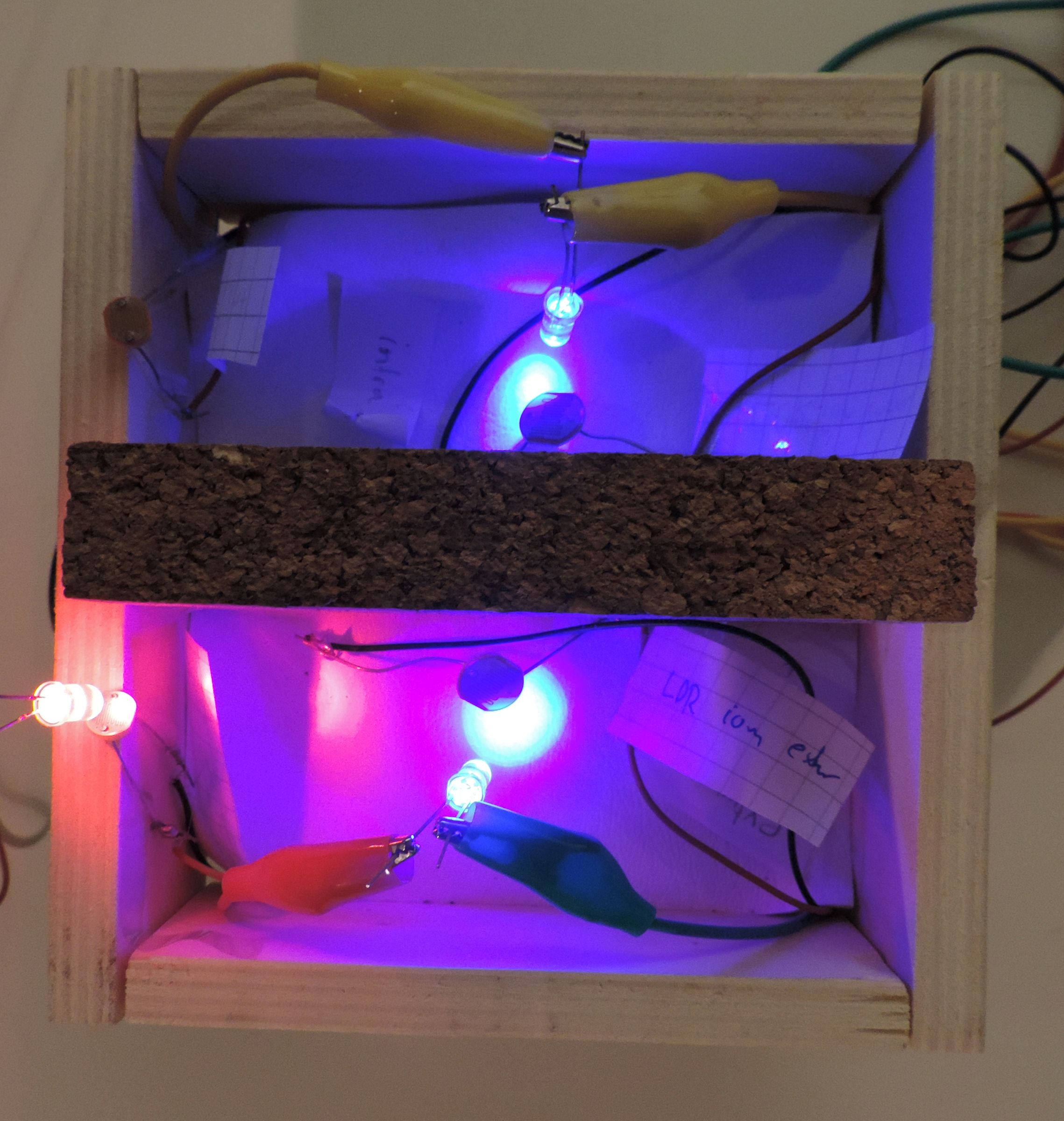 Play With Glowing Neurons? a Novel Framework for Interactive Neuron ...