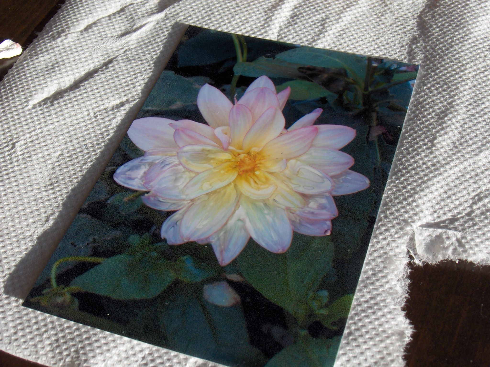 How to Turn a Digital Photo Print Into a Beautiful Painting (using ...