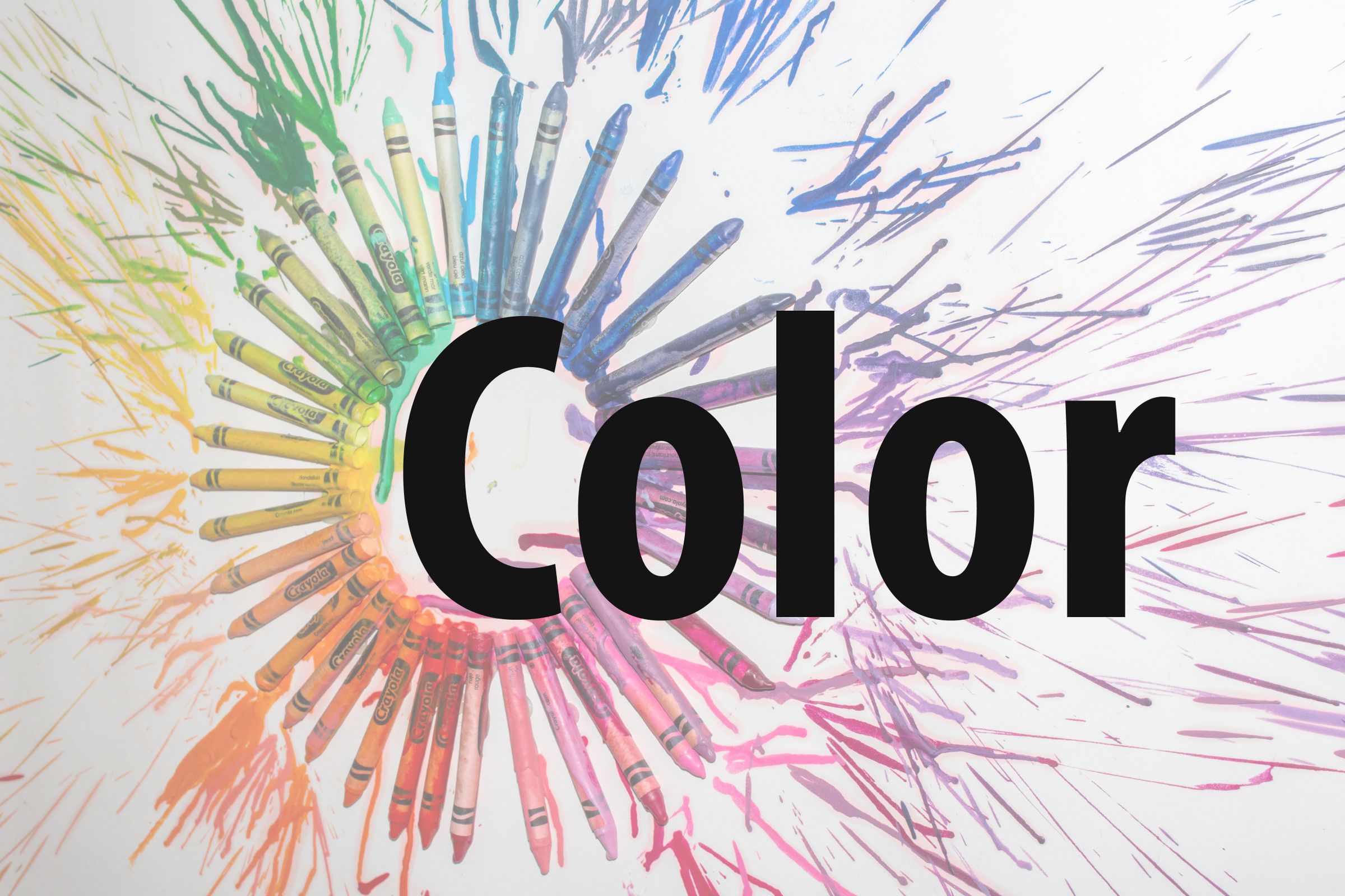 Starting Photography: a Beginner's Guide : 14 Steps (with Pictures ...