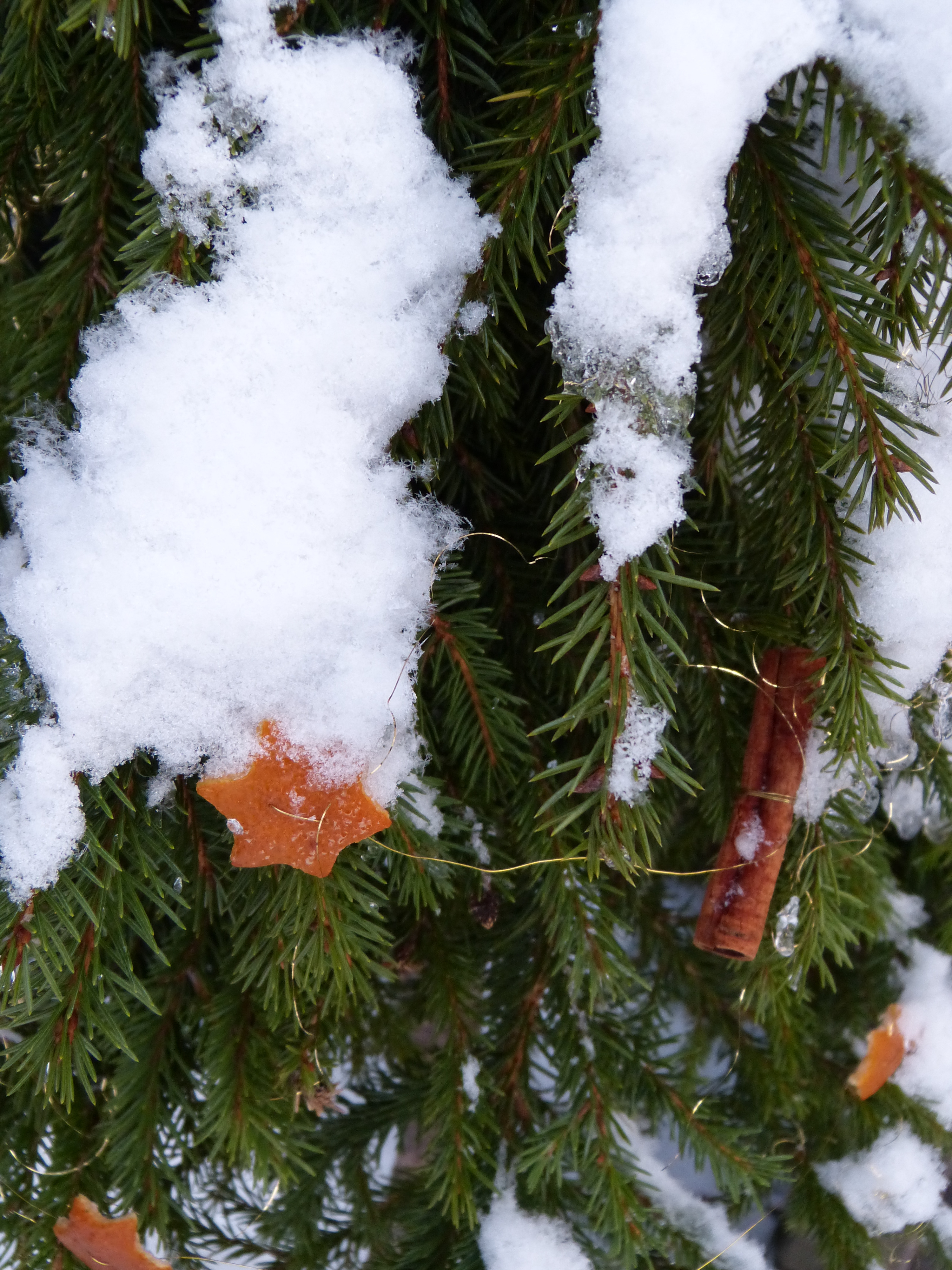 Easy Whimsical Christmas Trees From Branches : 9 Steps (with Pictures ...