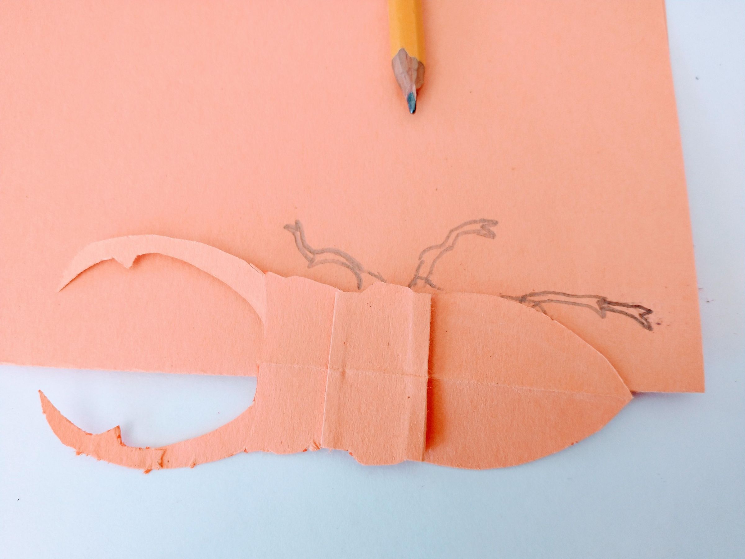 Kirigami Insects: Rhinoceros Beetle and Stag Beetle : 7 Steps (with ...