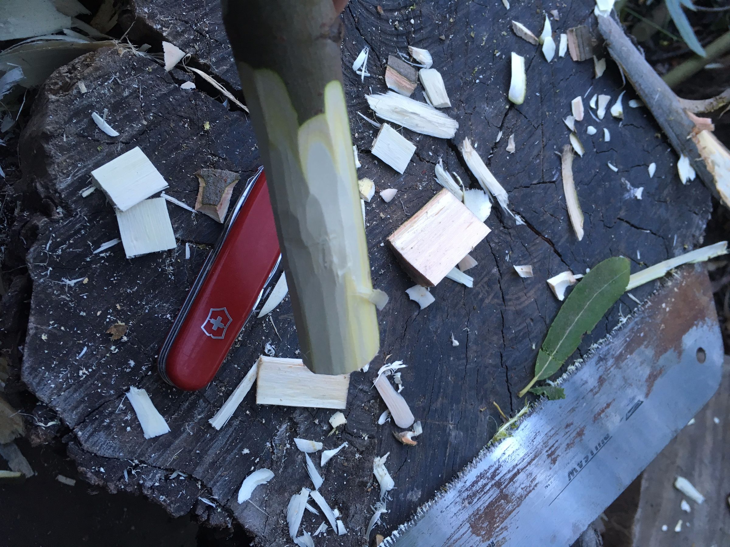 5 Super-easy Branch Carving Projects : 10 Steps (with Pictures ...