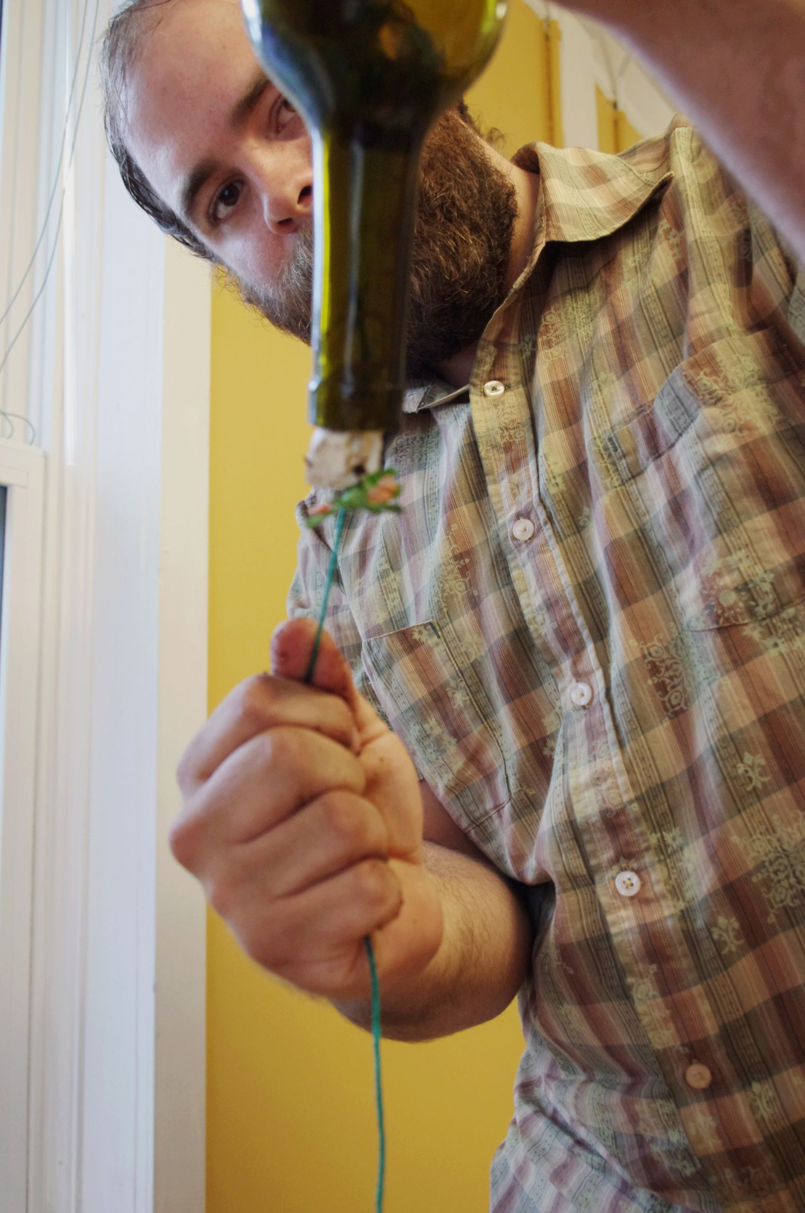 Inverted Wine Bottle Planter : 7 Steps (with Pictures) - Instructables