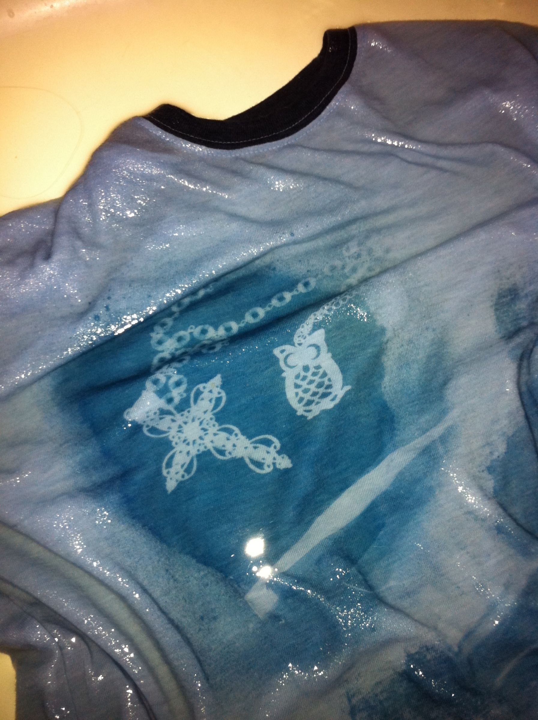 Cyanotypes on Fabric : 6 Steps (with Pictures) - Instructables