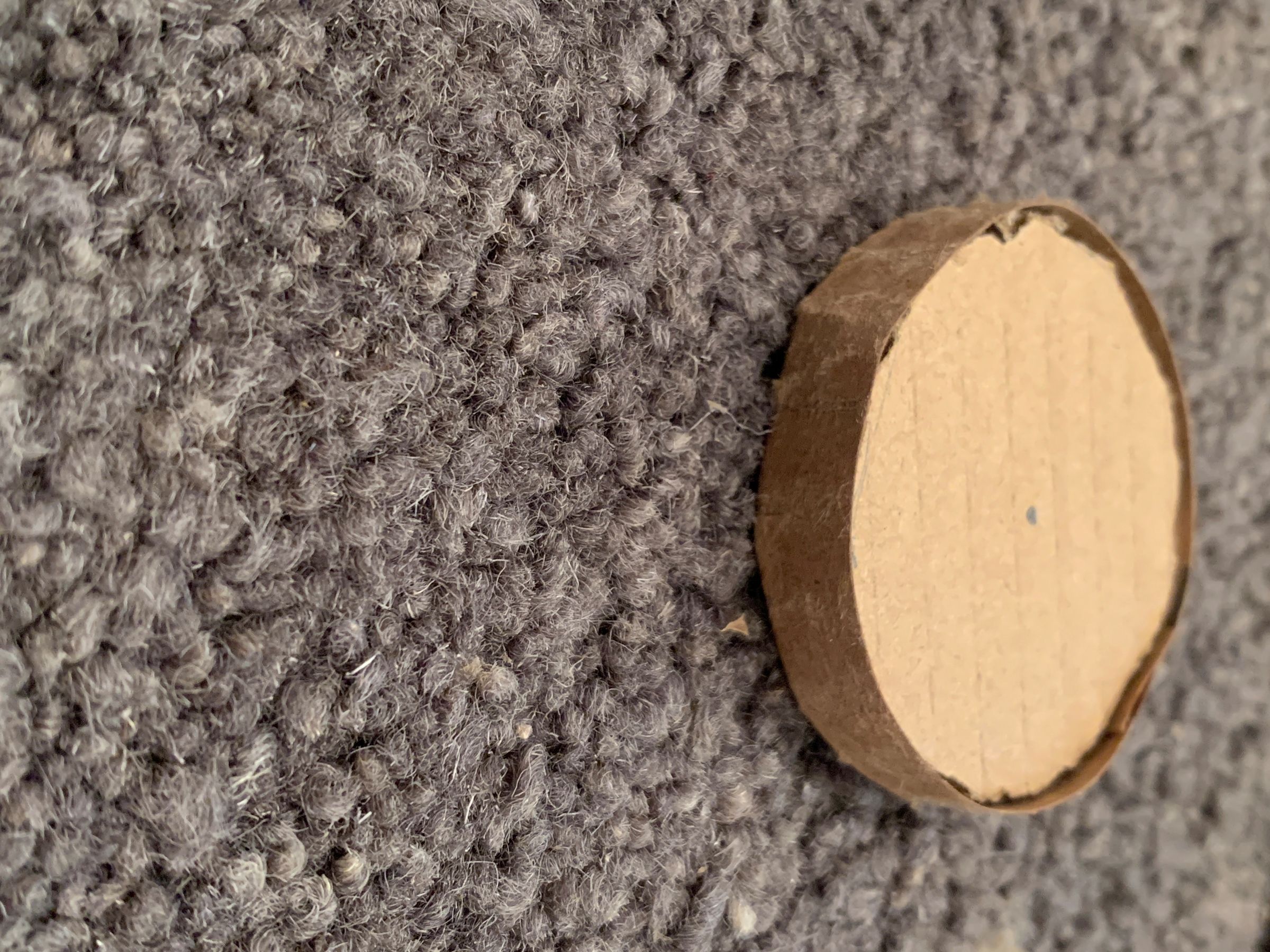 Flower Automata : 8 Steps - Instructables