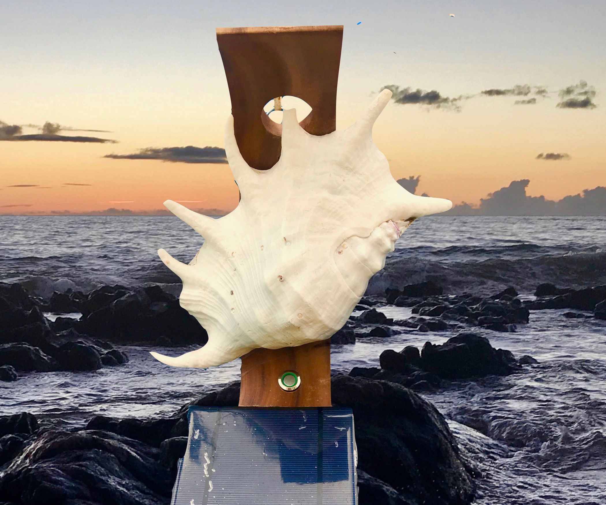 Solar Shell : 6 Steps - Instructables