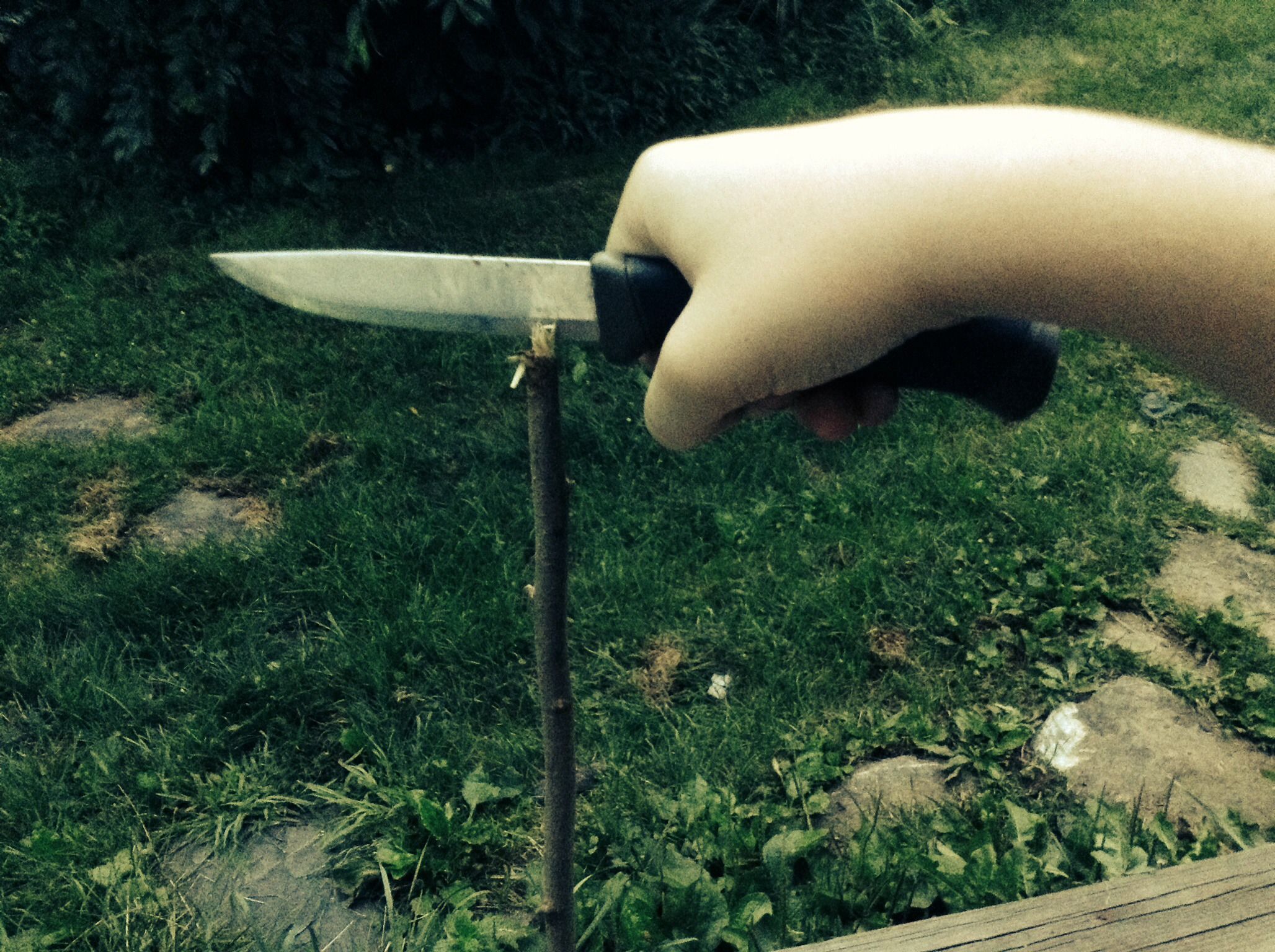 How to Make a Survival Whip Bow : 6 Steps - Instructables