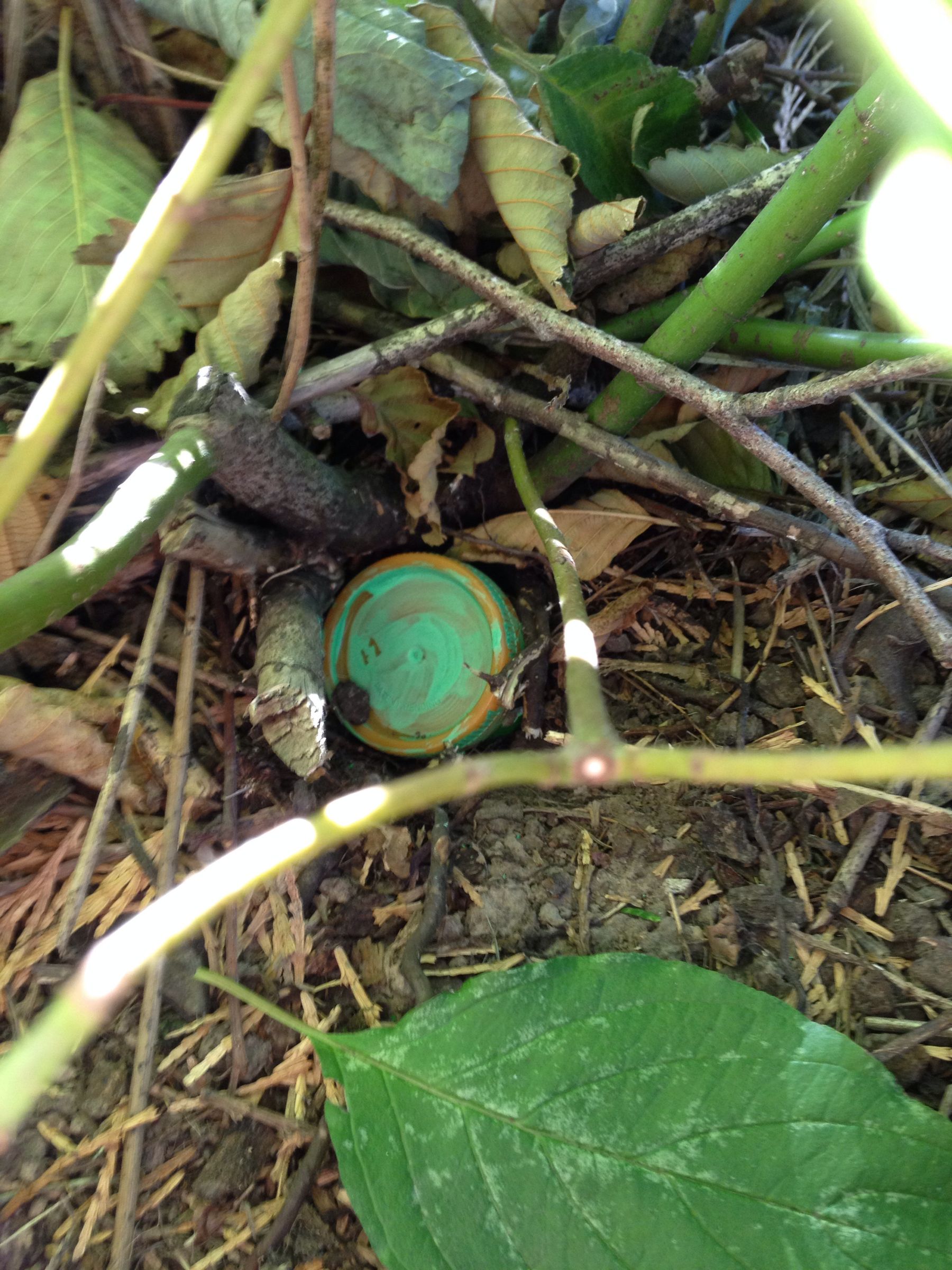 How to Make a Geocache - Instructables