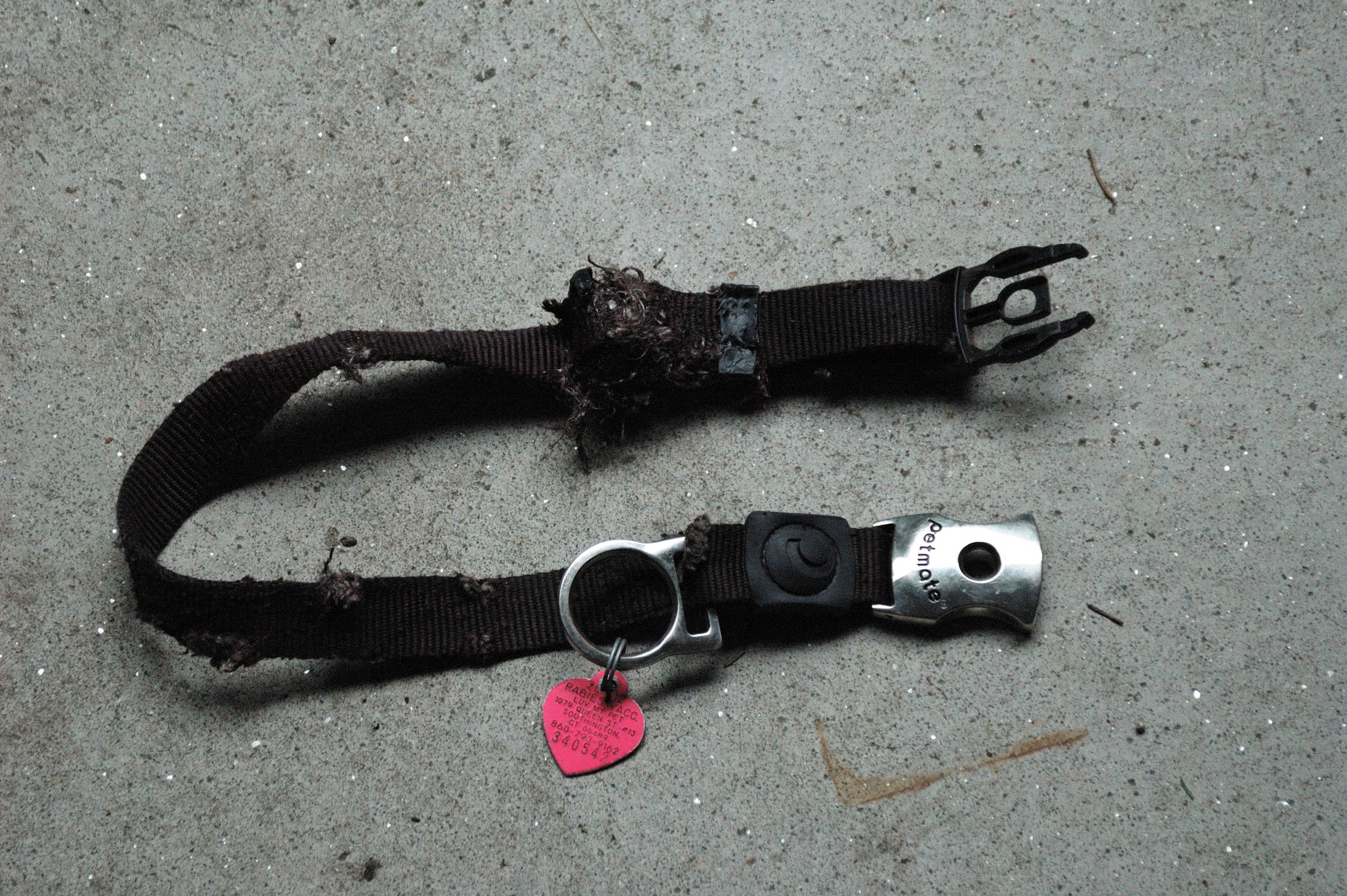 DIY Crochet Dog Harness : 5 Steps (with Pictures) - Instructables