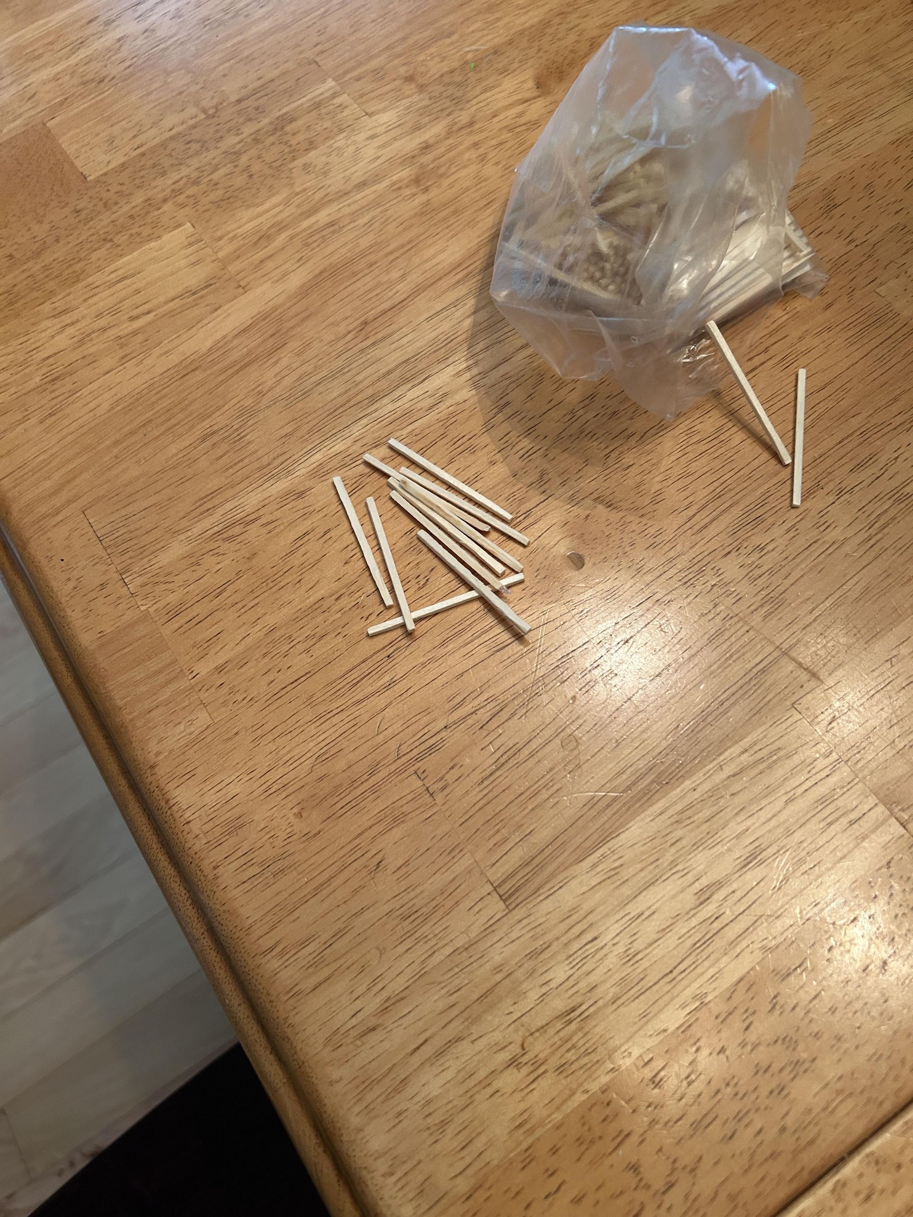 Roller Coaster Track and Structure Model : 9 Steps (with Pictures ...