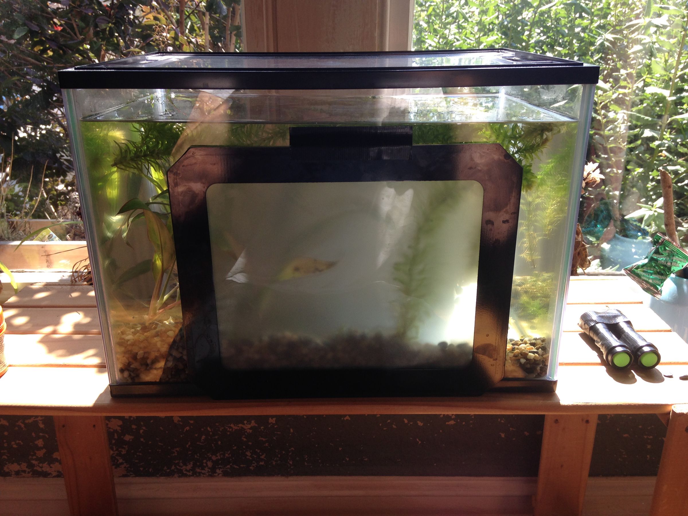 3D Fish Tank : 6 Steps (with Pictures) - Instructables