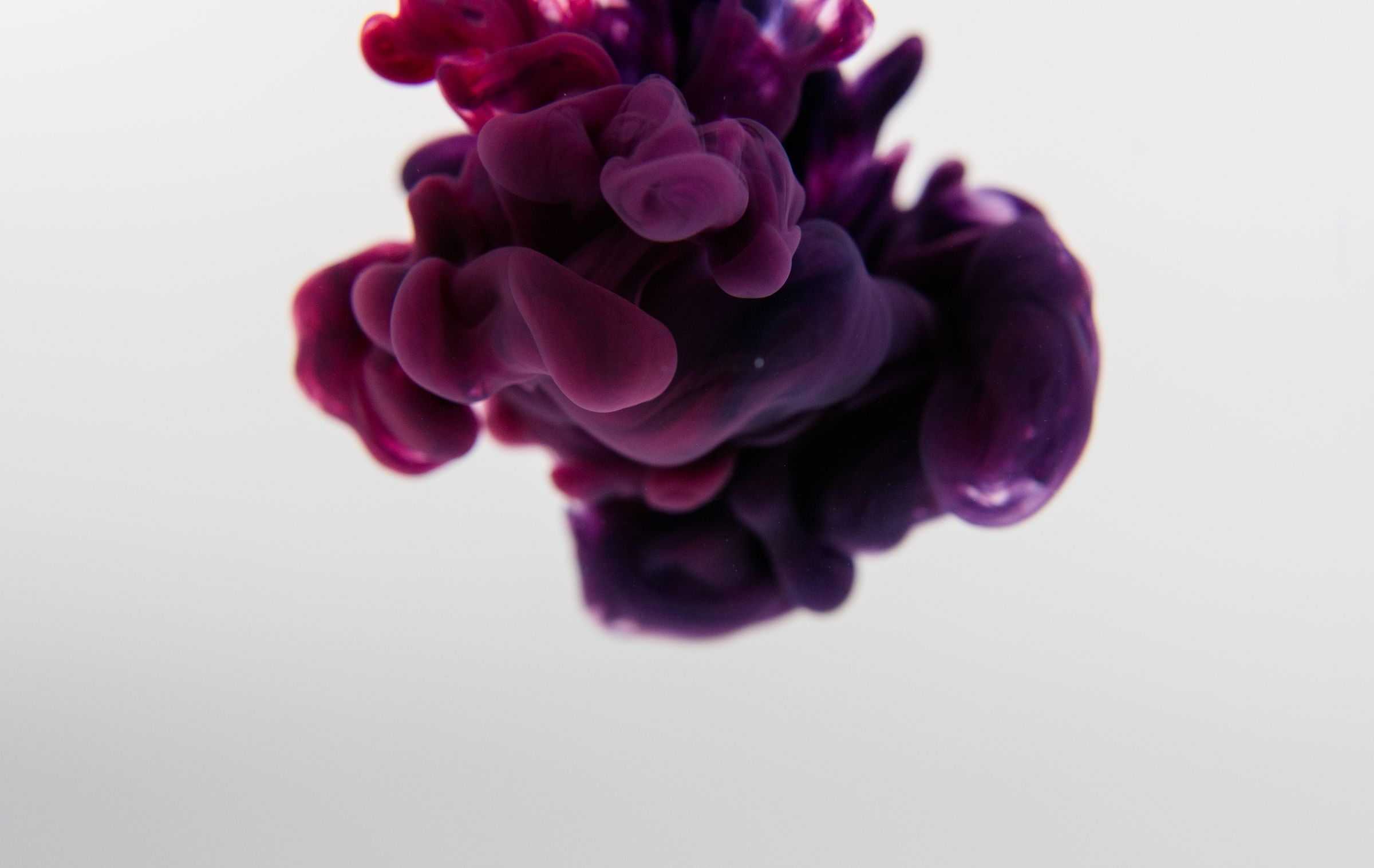 DIY "INK in WATER" Photography : 8 Steps (with Pictures) - Instructables