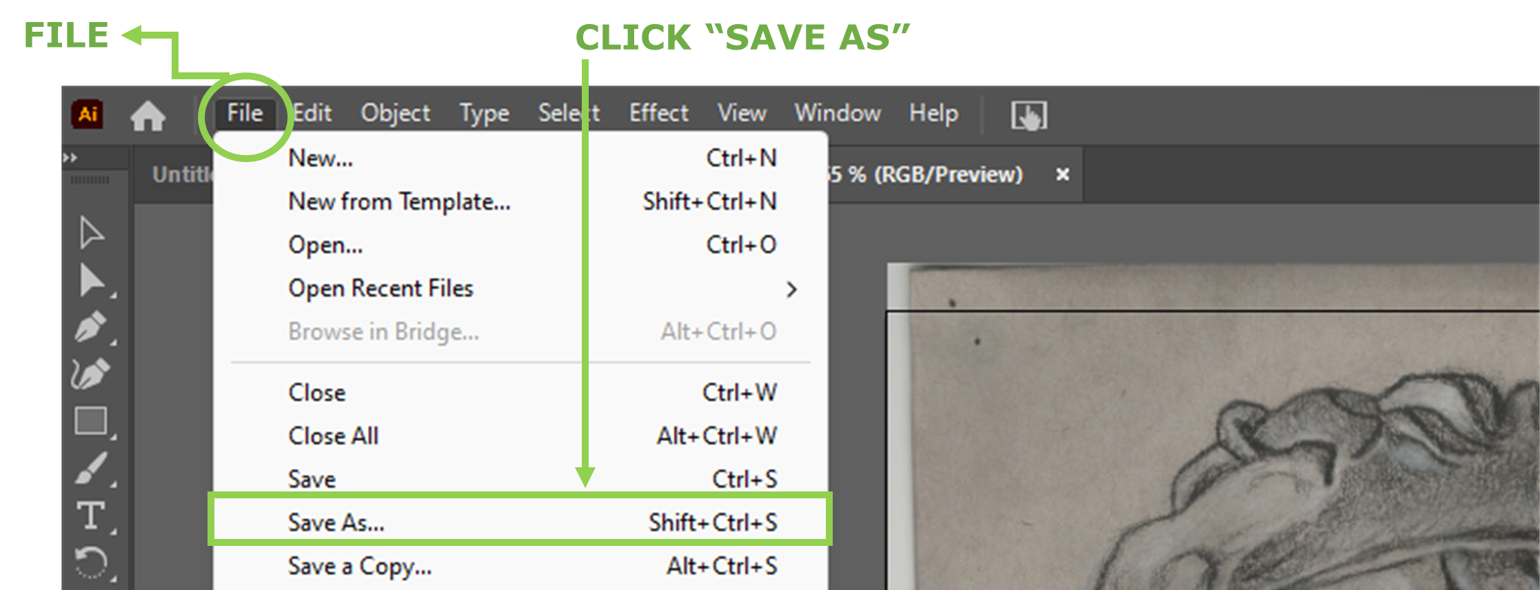 Art Digitalization Manual for Adobe Illustrator 2023 : 19 Steps ...