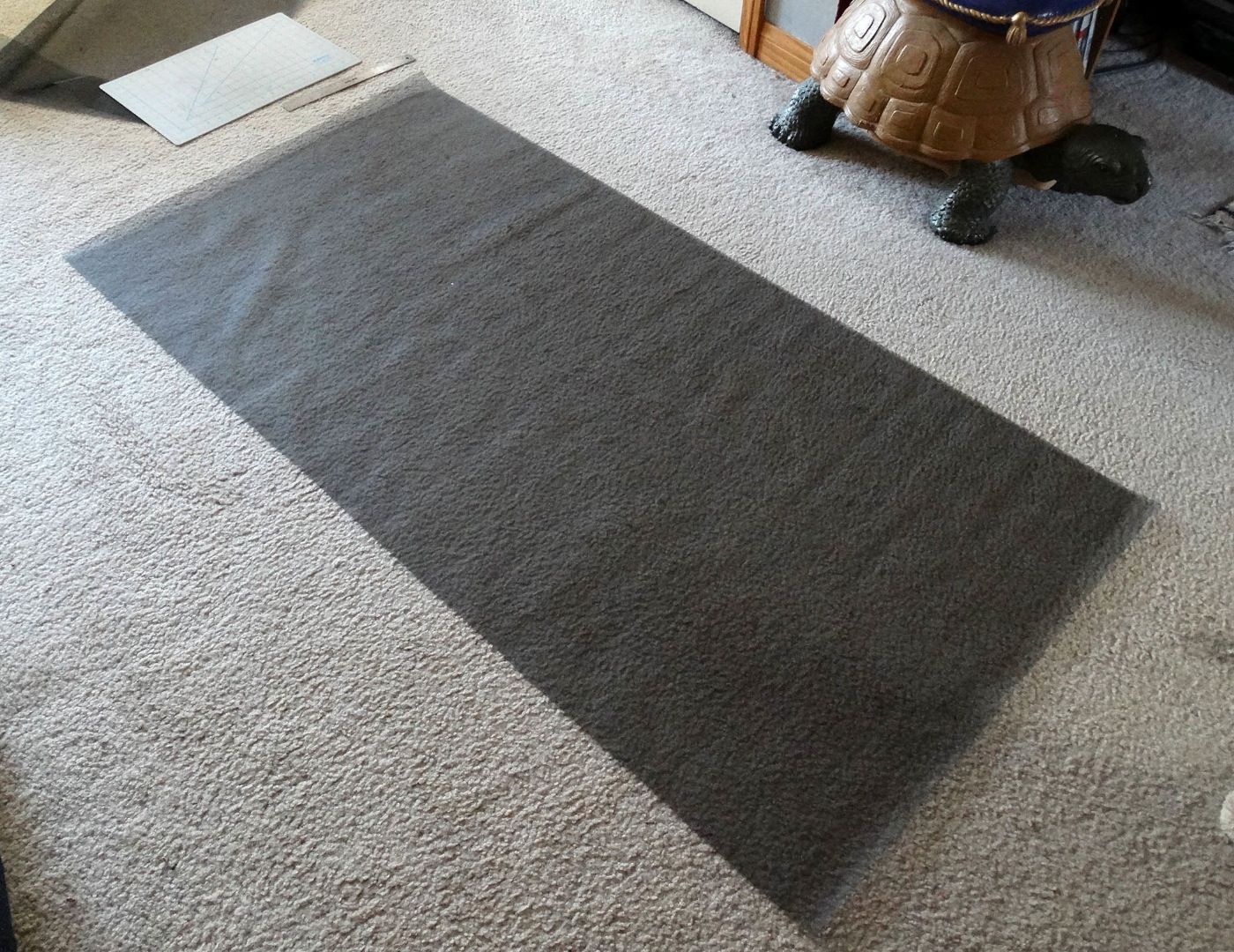 Raising Giant Silk Moths : 15 Steps (with Pictures) - Instructables