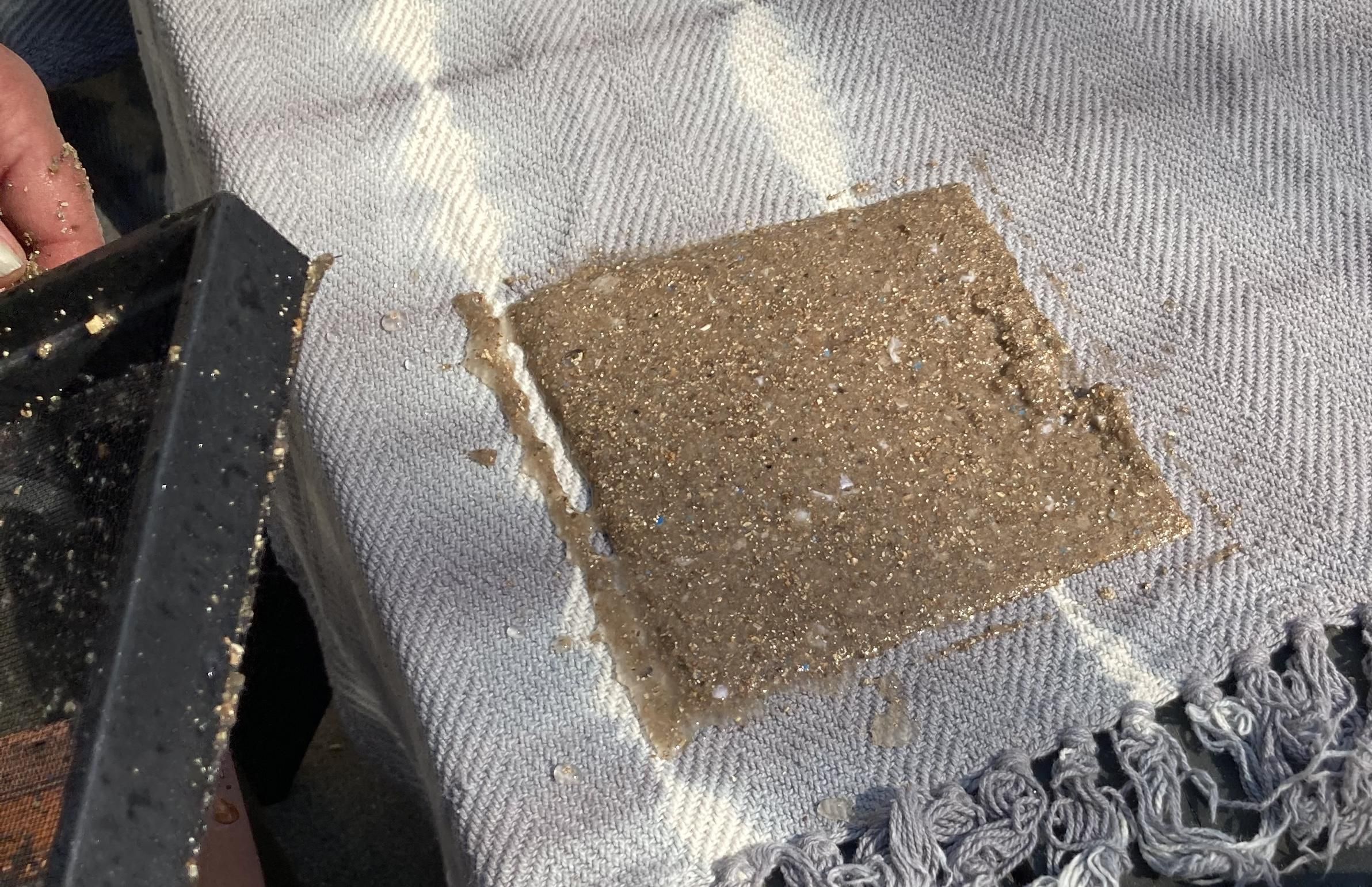 Seed Paper From Used Cardboard Boxes : 8 Steps (with Pictures ...