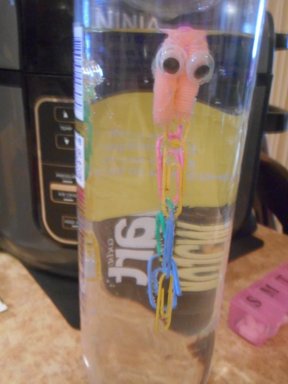 SWIMMING OCTOPUS IN a WATER BOTTLE : 7 Steps - Instructables