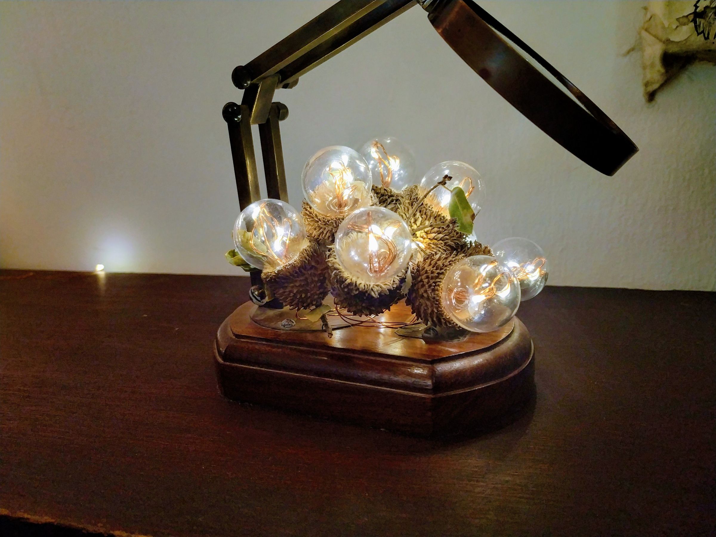 Tiny Acorn Light Bulbs!!! : 3 Steps (with Pictures) - Instructables