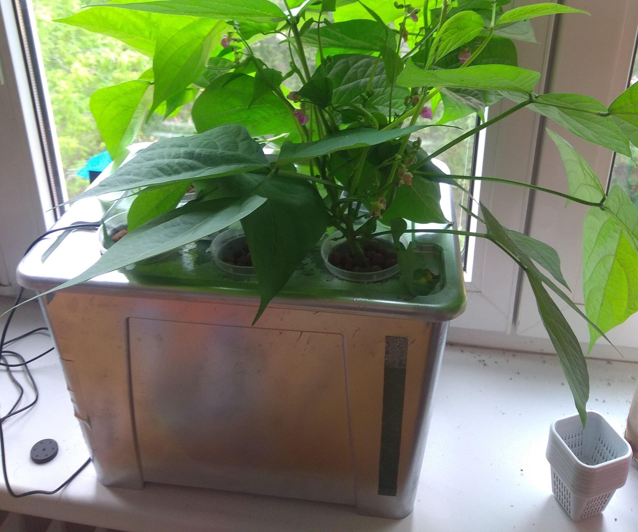 Simple Solar Powered Deep Hydroponics (SiSoPoDH) : 6 Steps (with ...