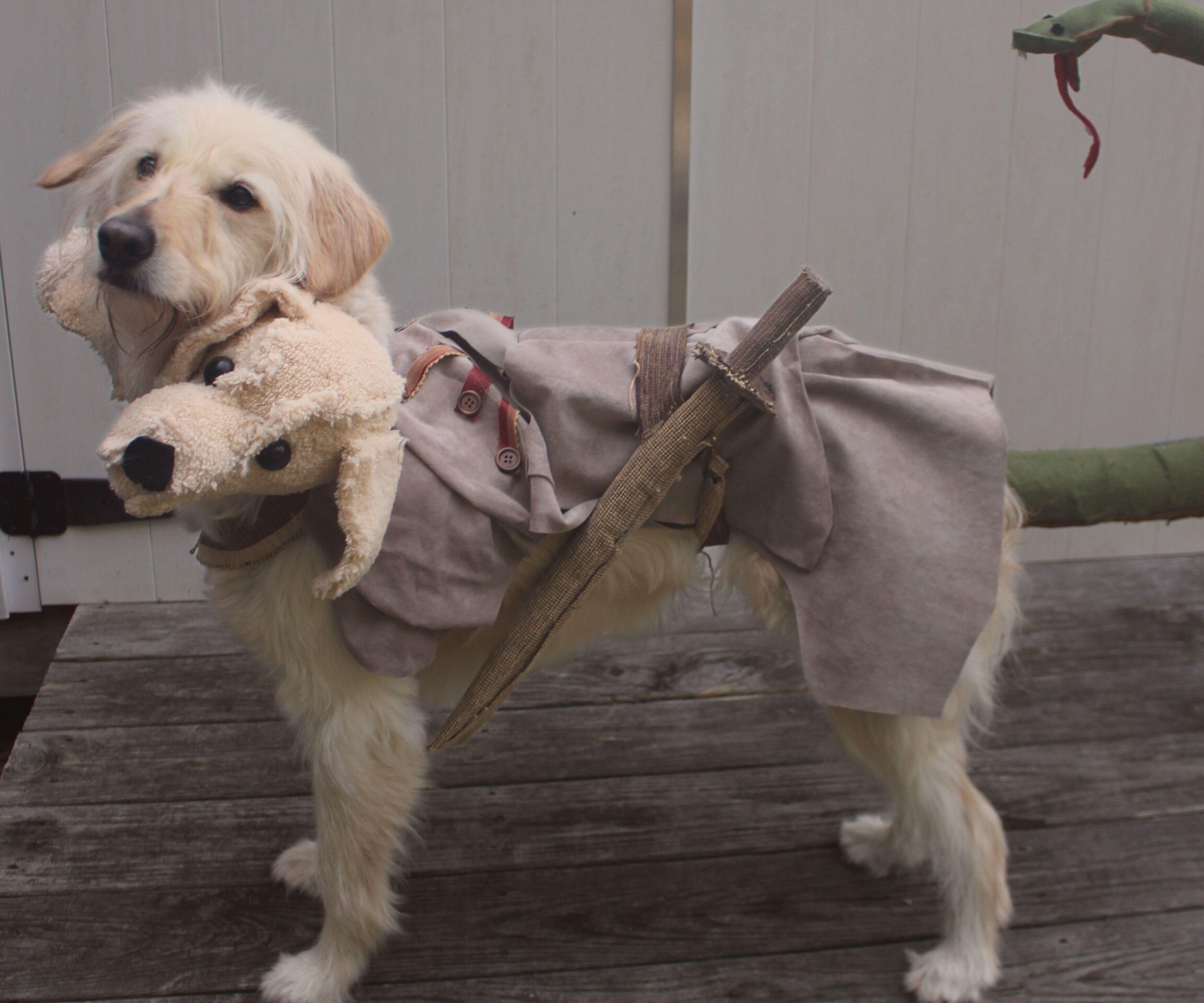 Custom Cerberus Dog Halloween Costume : 20 Steps (with Pictures ...