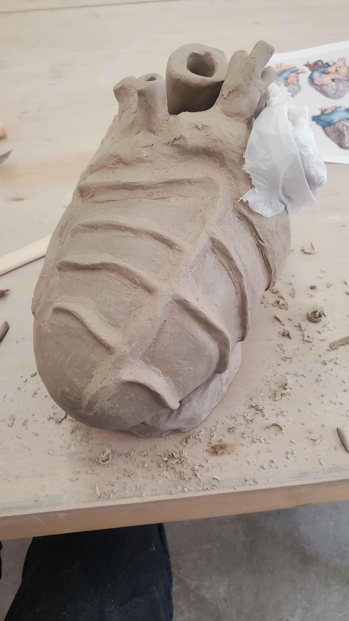 Anatomically Correct Heart - Clay : 11 Steps (with Pictures ...