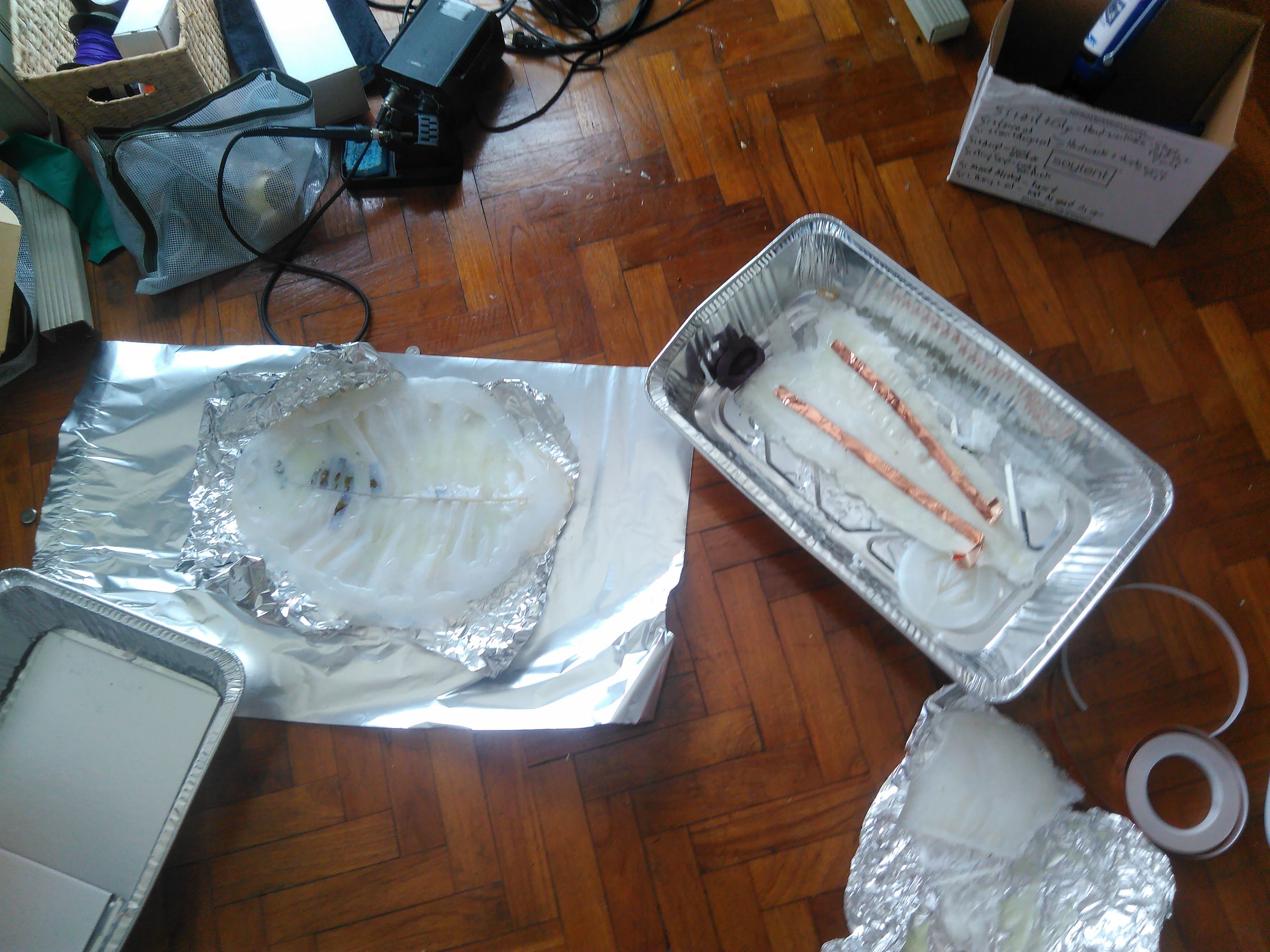 Glowing Leaves: Rapid Moldmaking in Nature : 10 Steps (with Pictures ...