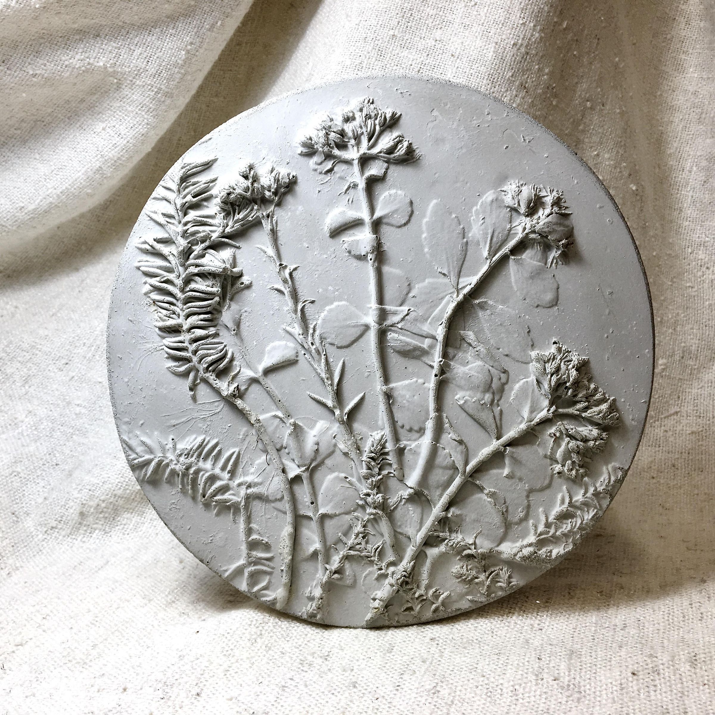 Concrete Relief-Cast Botanical Specimens : 6 Steps (with Pictures ...