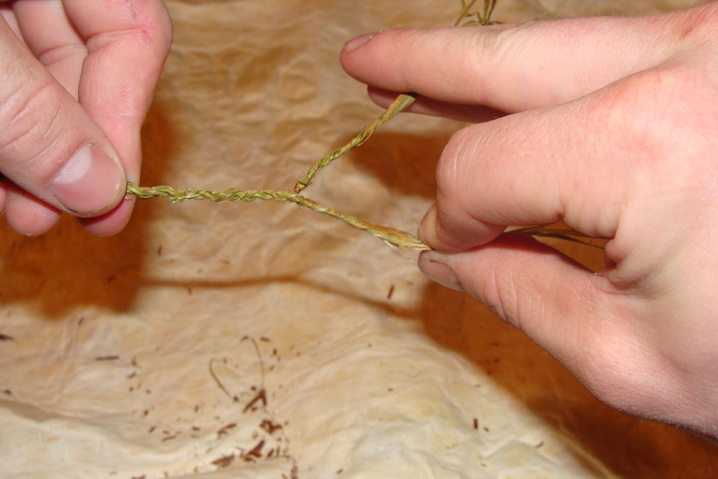 Natural Cordage : 7 Steps (with Pictures) - Instructables