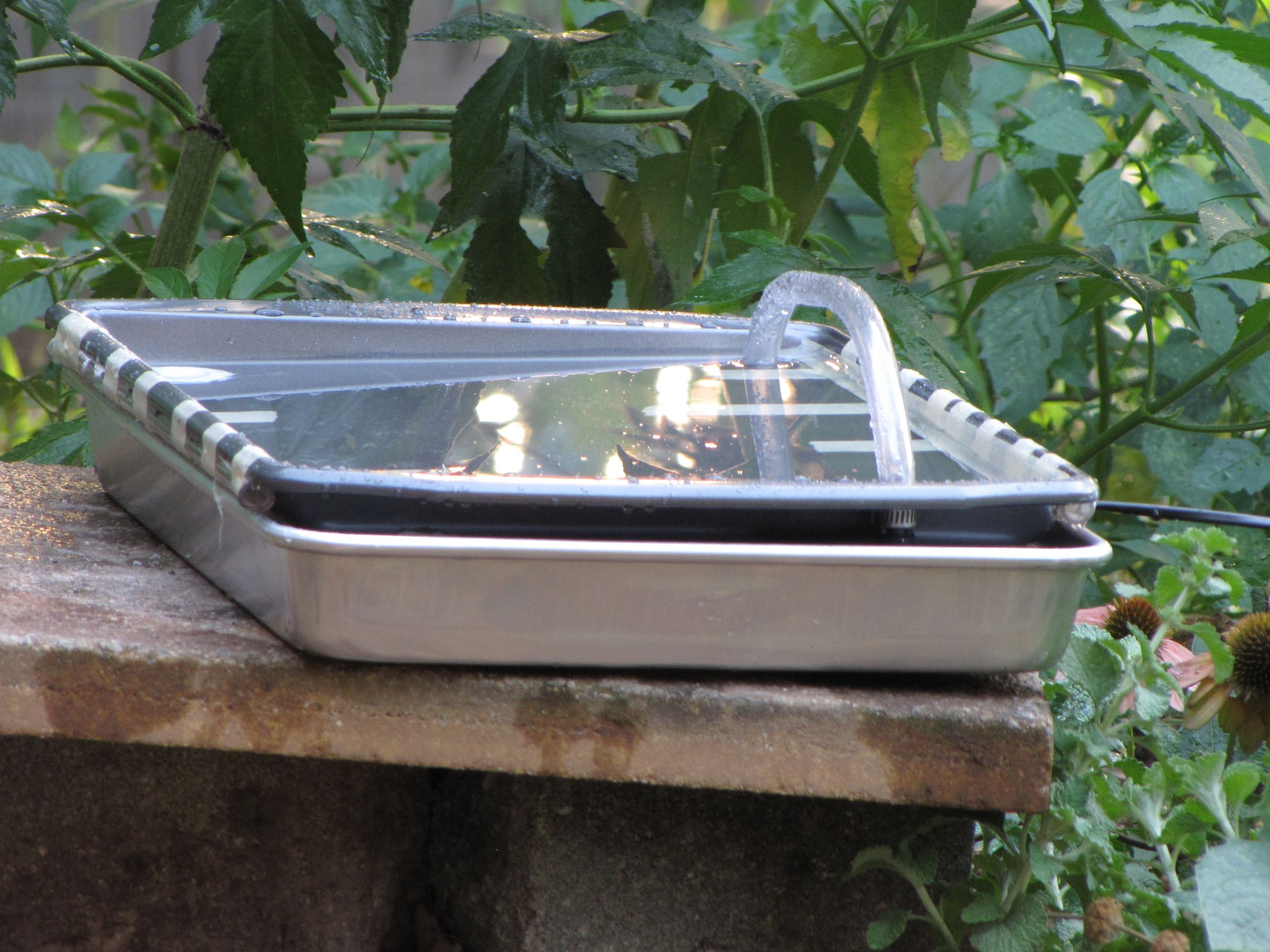 Solar Powered Hummingbird Bird Bath : 5 Steps (with Pictures ...