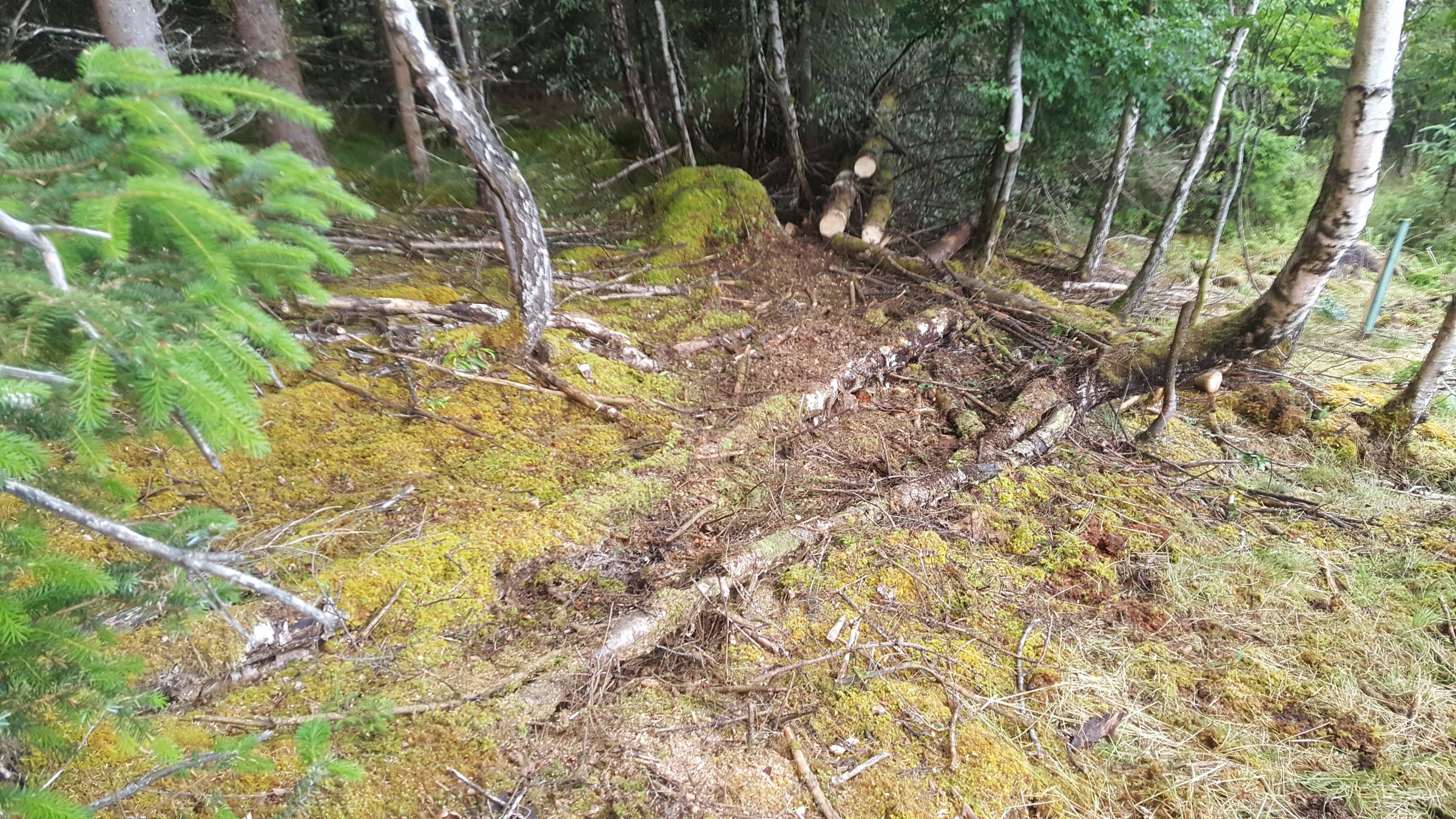 Log Pallet Bridge Introduction and Information : 13 Steps (with ...