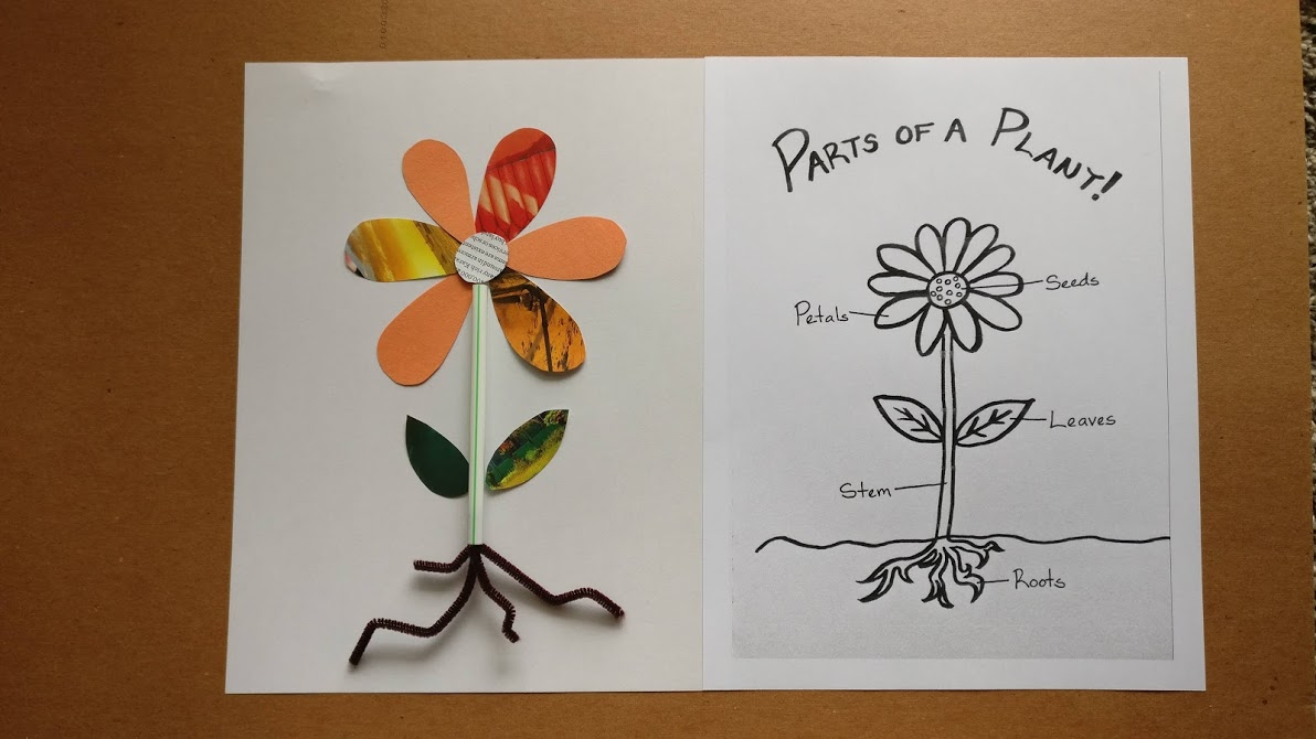 Flower Collage : 5 Steps - Instructables