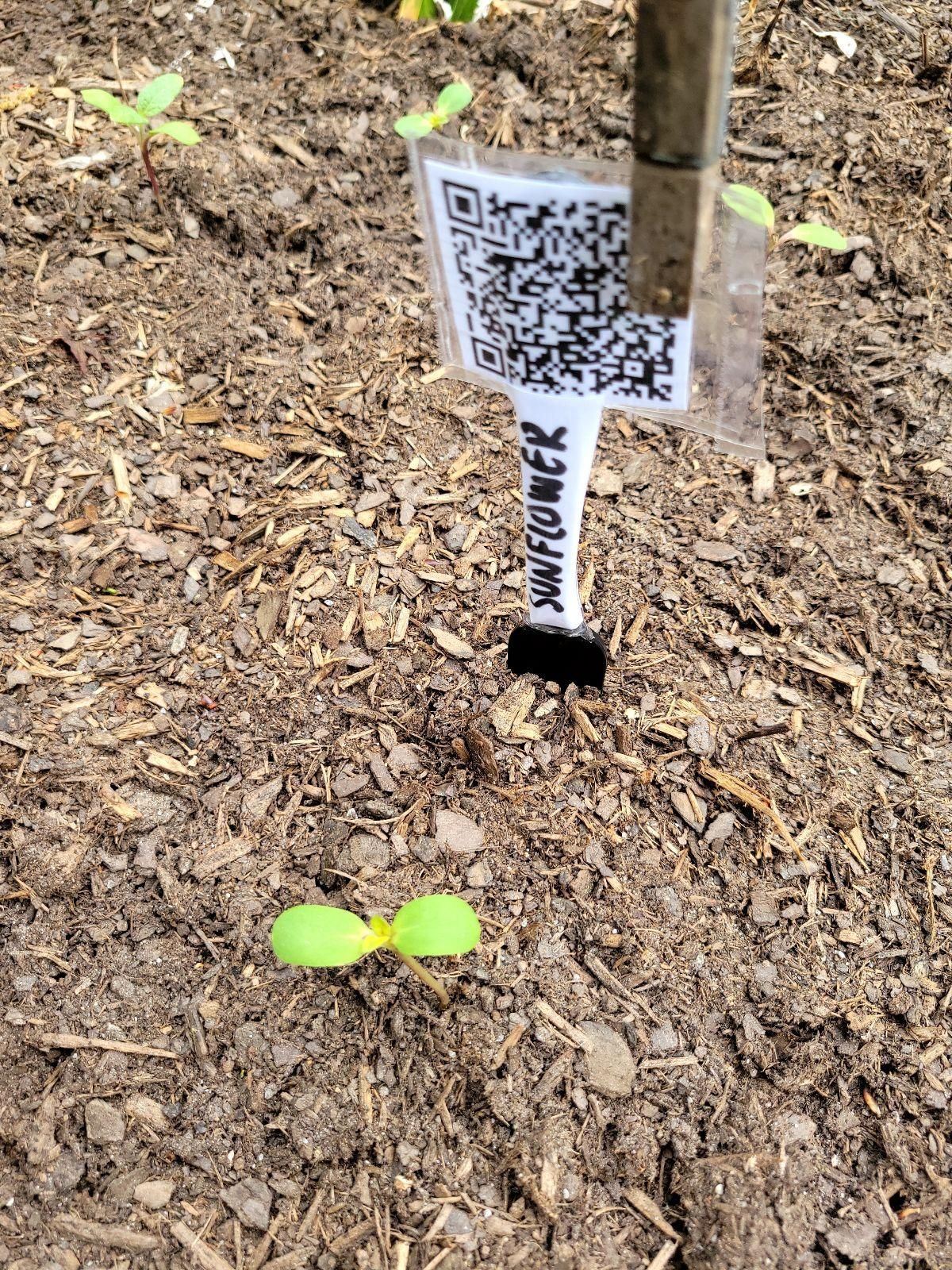 QR Code Plant Marker : 6 Steps - Instructables