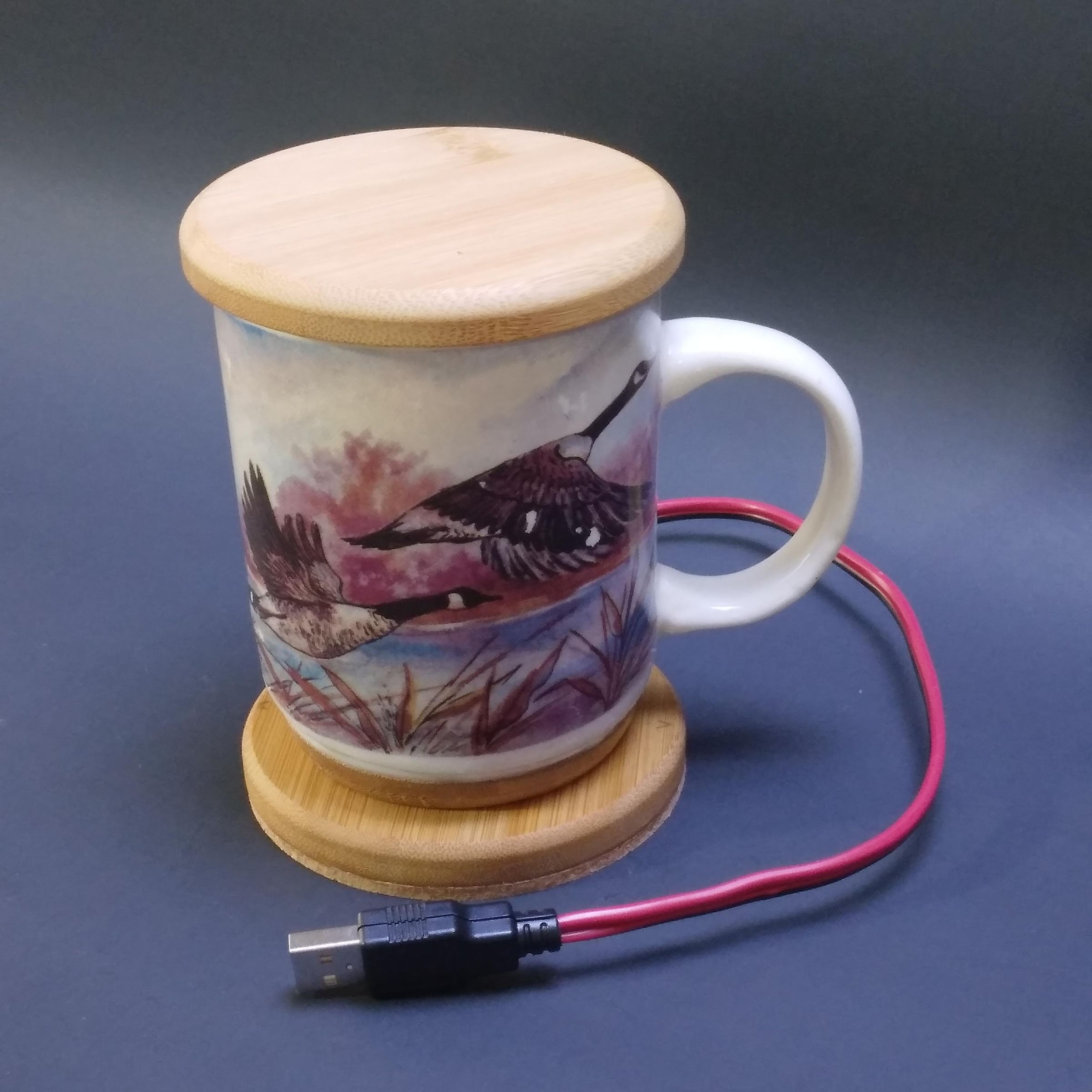 USB Powered Warming Mug : 10 Steps - Instructables