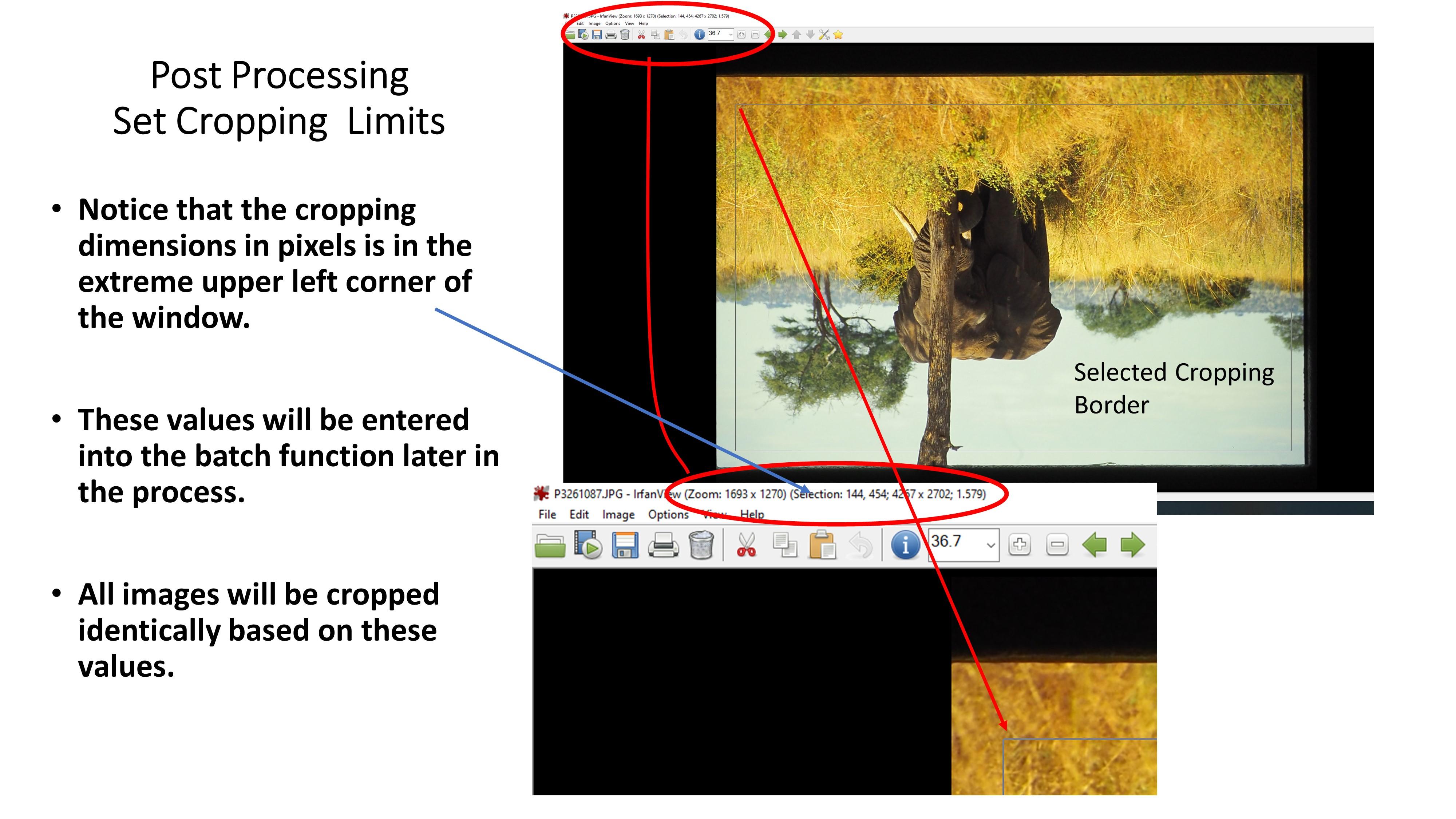 Automated 35mm Slide Digitizer : 8 Steps (with Pictures) - Instructables