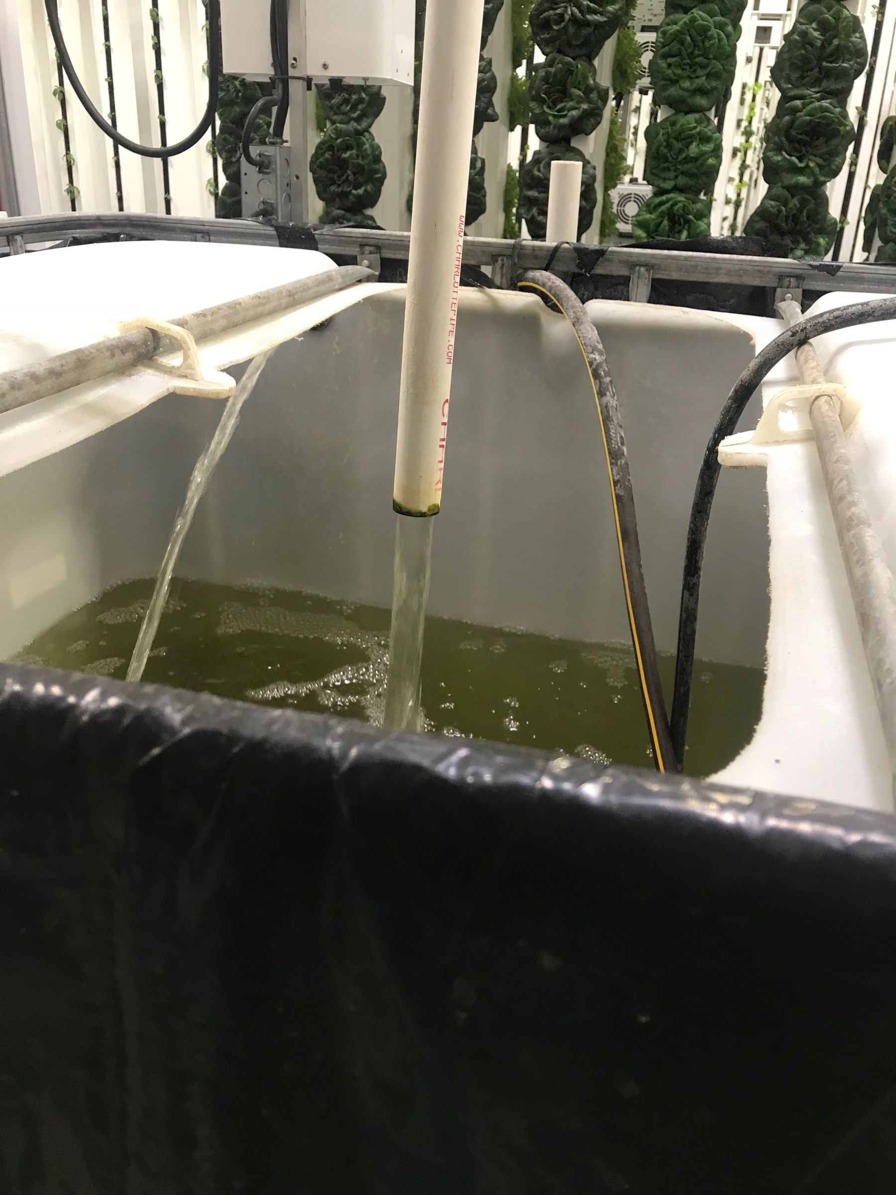 Hydroponics Controller : 7 Steps (with Pictures) - Instructables