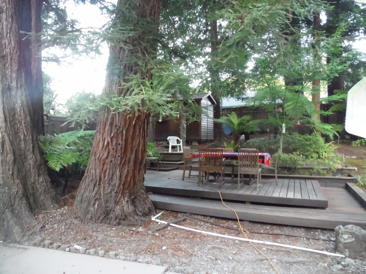 Tree Safe : 6 Steps (with Pictures) - Instructables