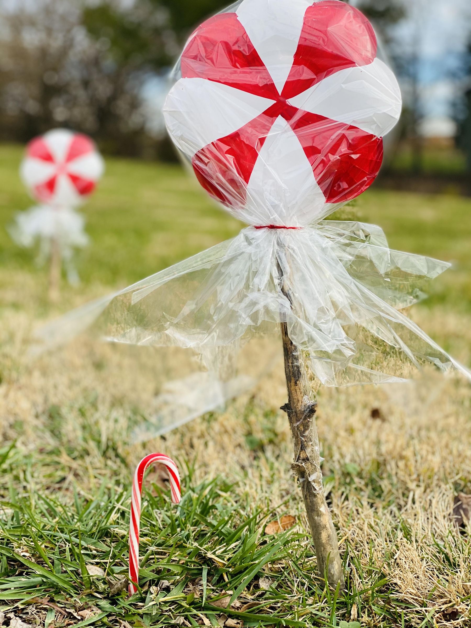 JUMBO Lollipop Decoration : 10 Steps (with Pictures) - Instructables